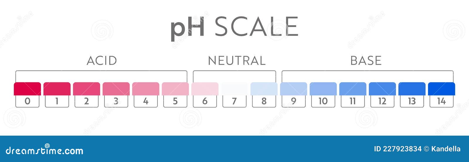 PH Value scale chart. stock vector. Illustration of vector - 227923834