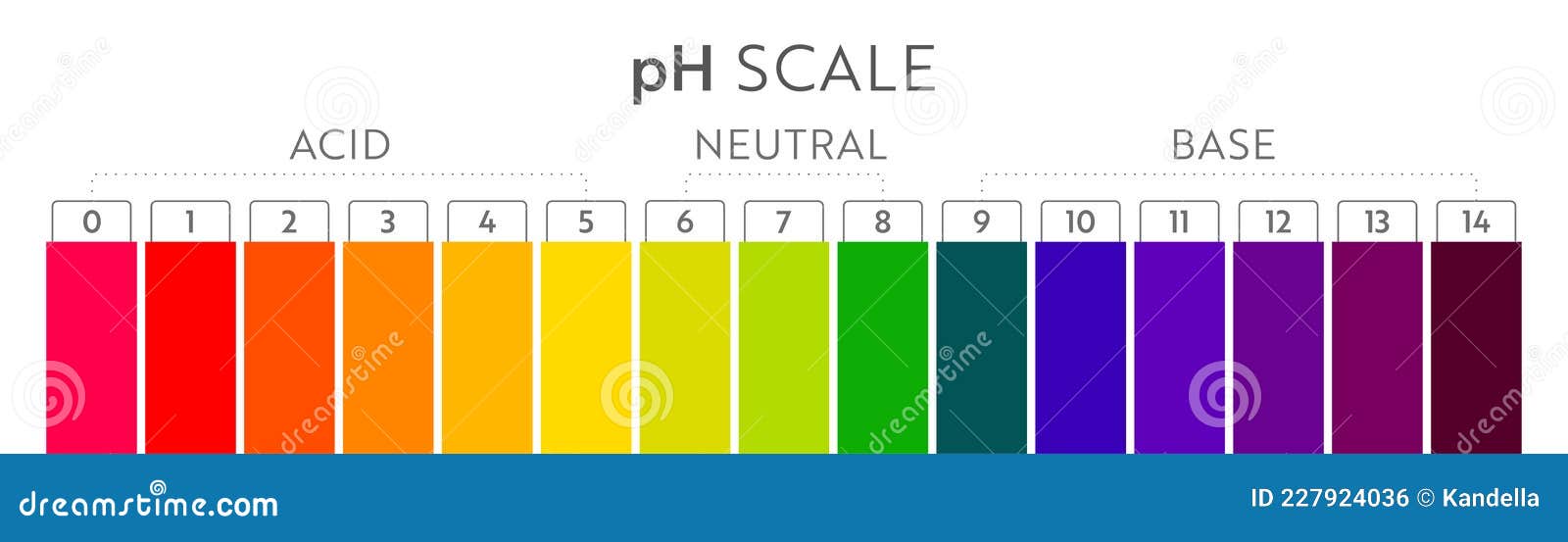 PH Value scale chart. stock vector. Illustration of chart - 227924036