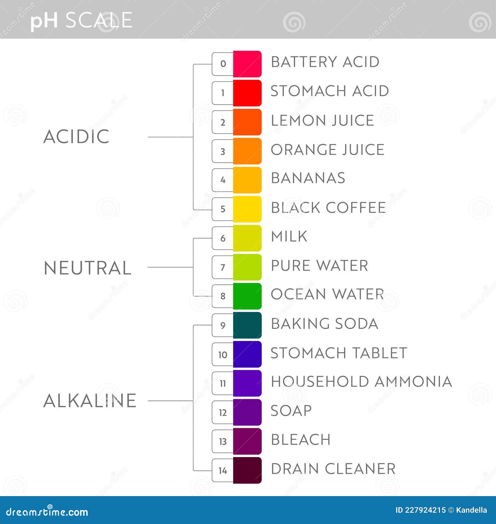 PH Value scale chart. stock vector. Illustration of spectrum - 227924215
