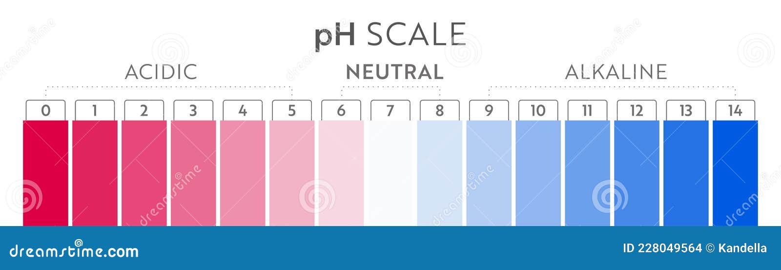 PH Value scale chart. stock vector. Illustration of paper - 228049564