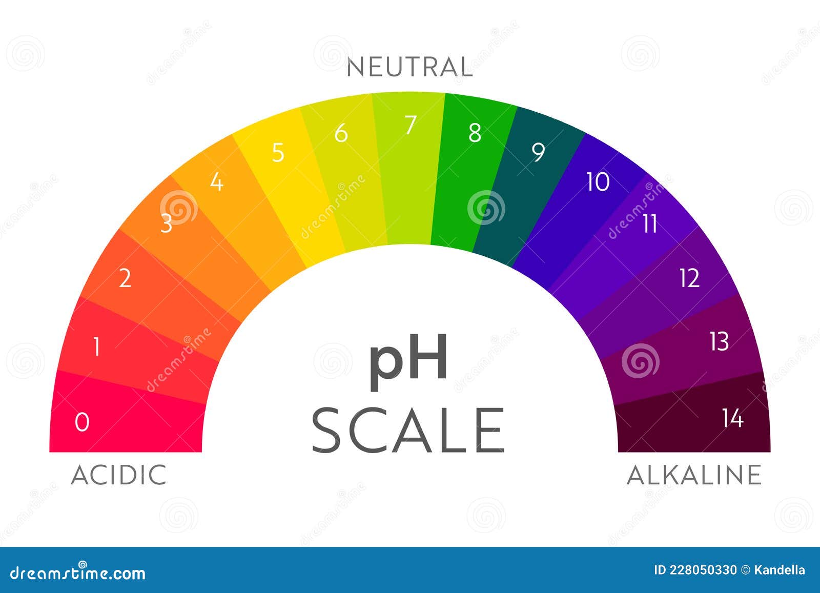 PH Value scale chart. stock vector. Illustration of graph - 228050330