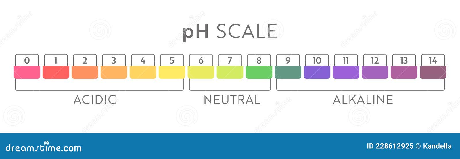PH Value scale chart. stock vector. Illustration of concentration ...