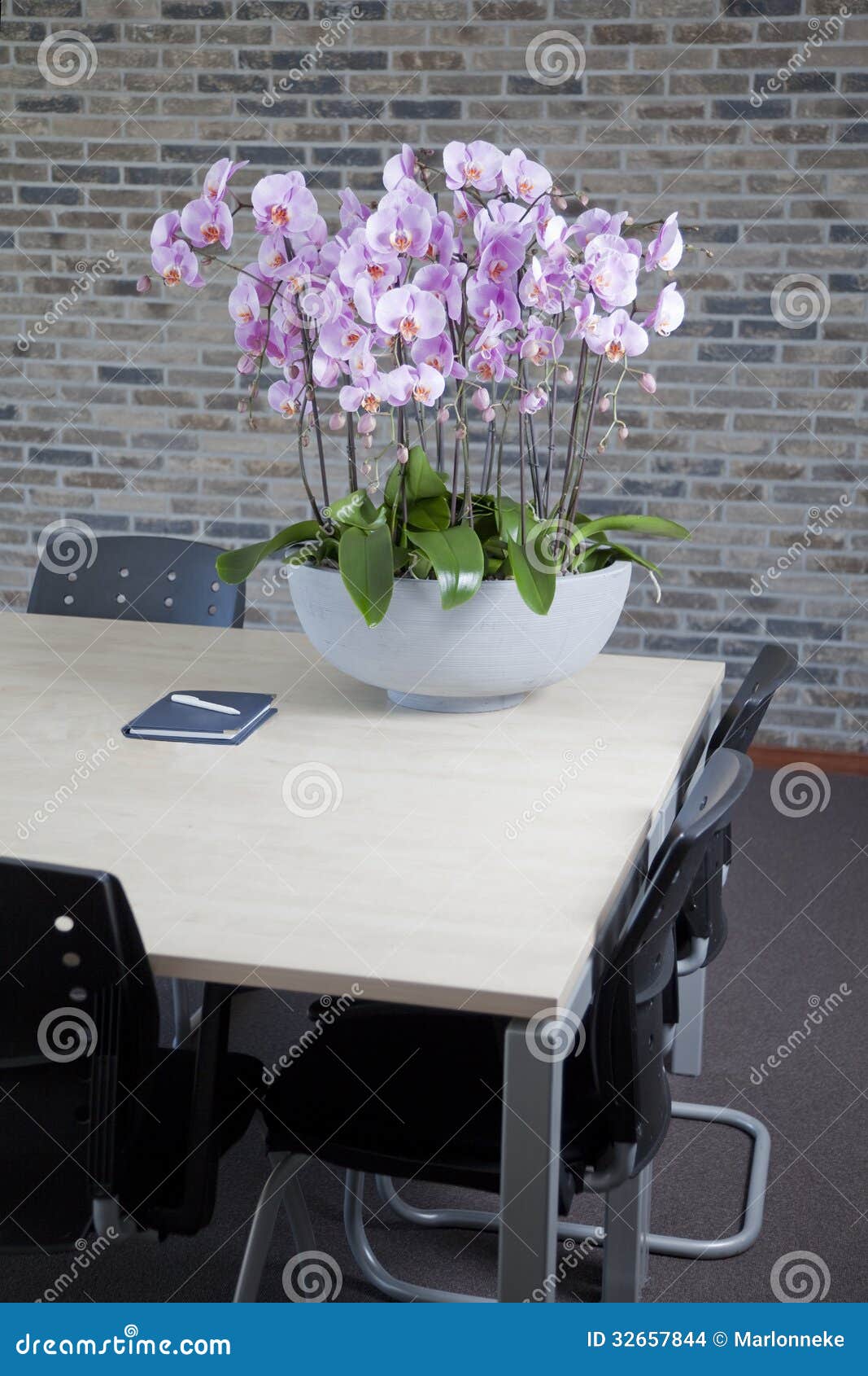 Phalaenopsis Orchid in Interior Stock Photo - Image of office, petals ...