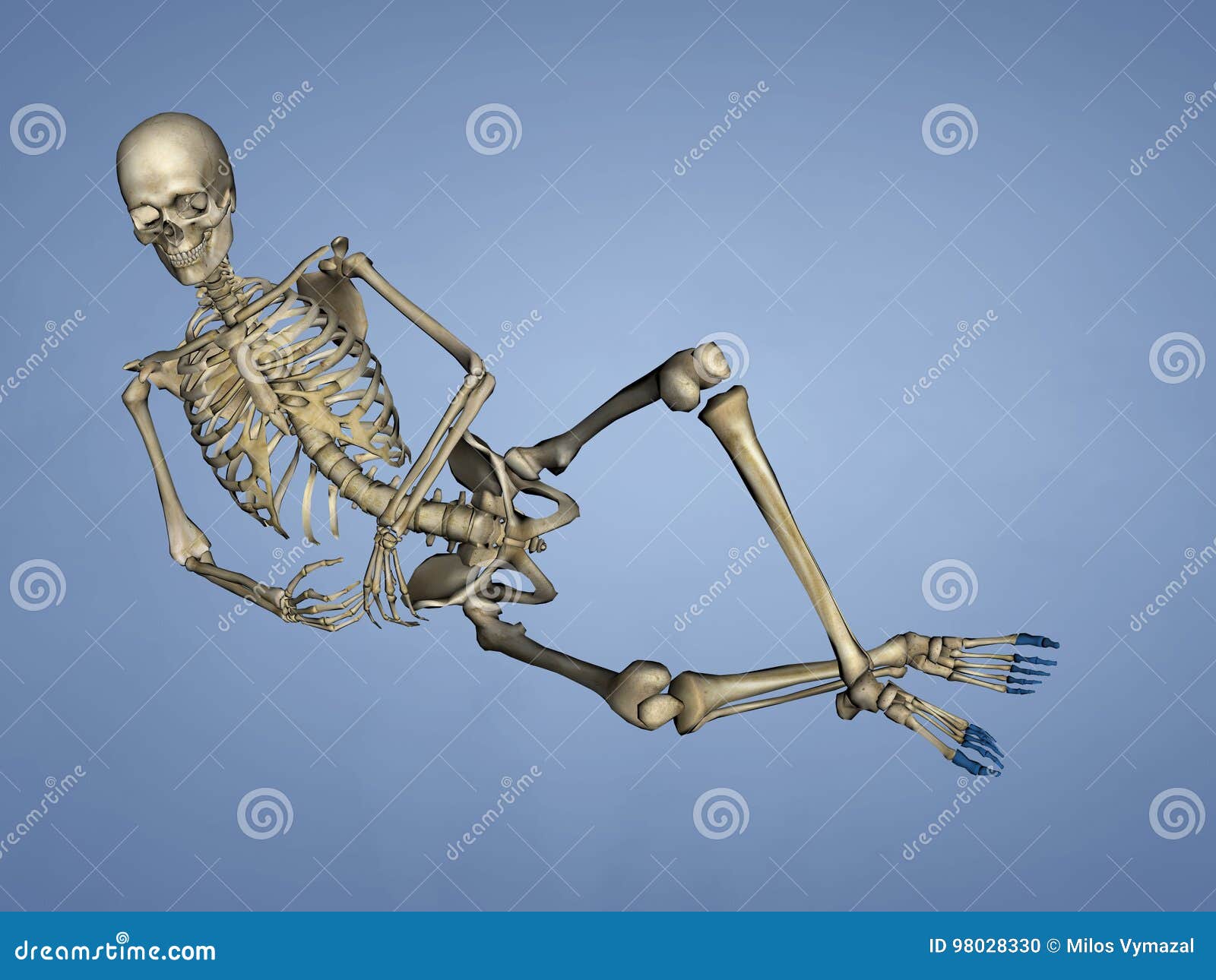 Phalanges of Foot, 3D Model Stock Illustration - Illustration of ...