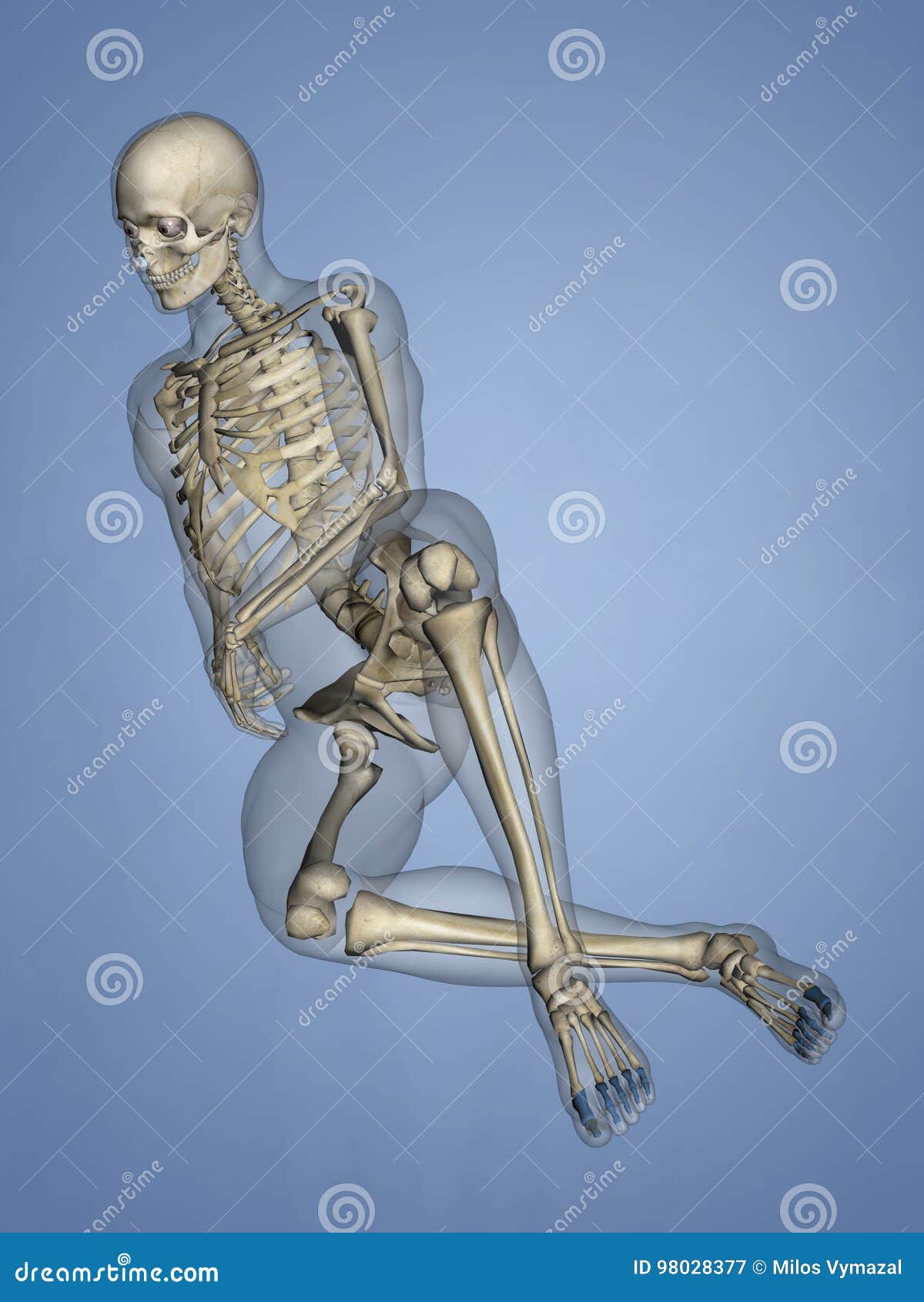 Phalanges of Foot, 3D Model Stock Illustration - Illustration of figure ...