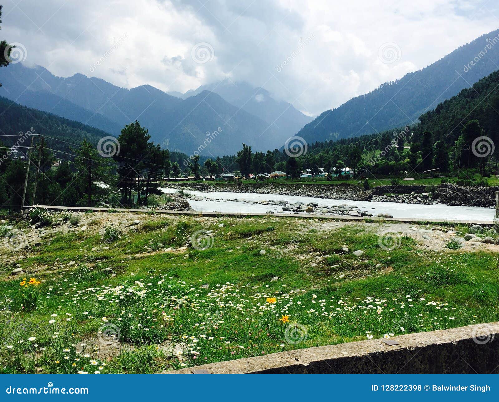 Phalgam Beauty Stock Photos - Free & Royalty-Free Stock Photos from ...