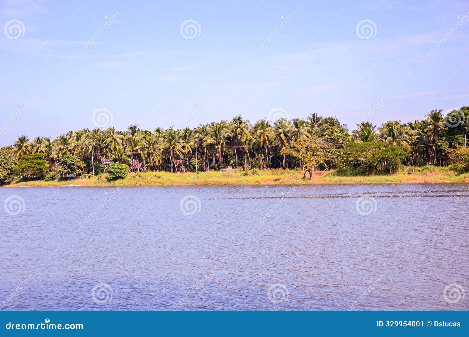 Phalguni River in Mangalore, India Stock Image - Image of boats ...
