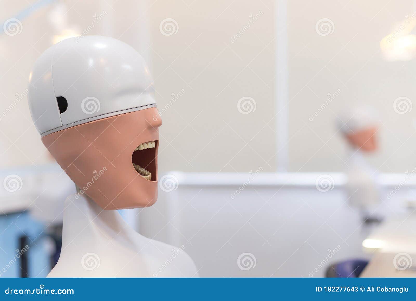Phantom Head Model Used by Dentistry Students Stock Image - Image of ...