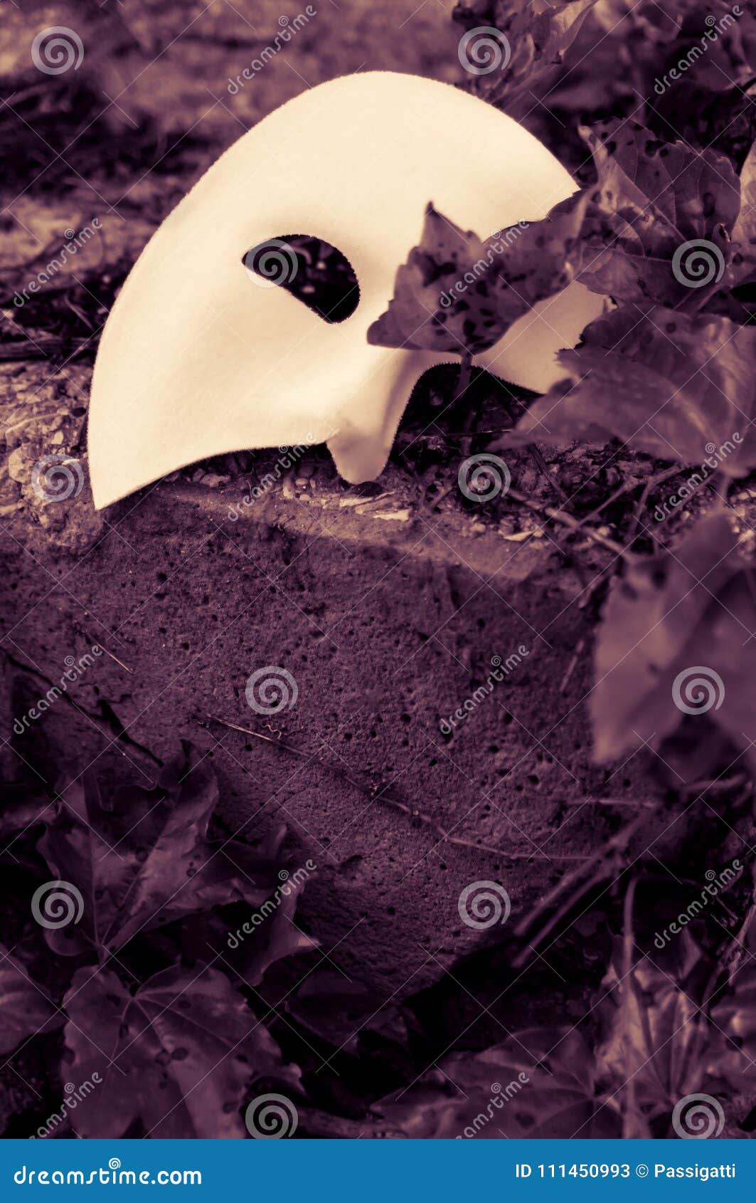 Phantom of the Opera mask stock image. Image of face - 111450993