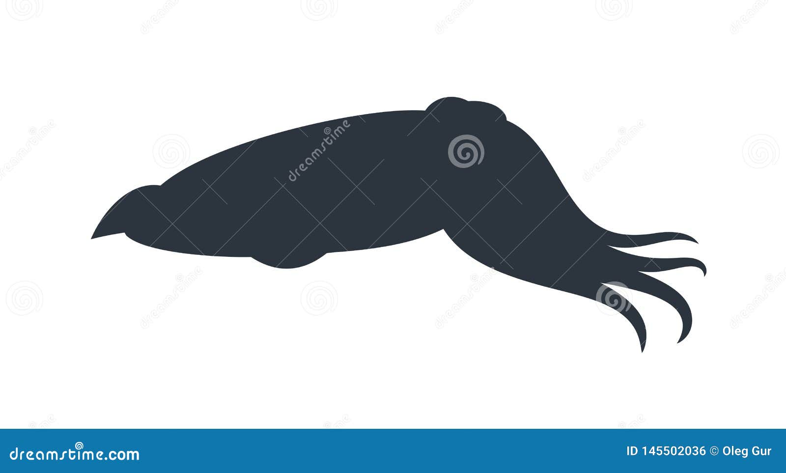 Pharaoh Cuttlefish Silhouette. Isolated Cuttlefish on White Background ...