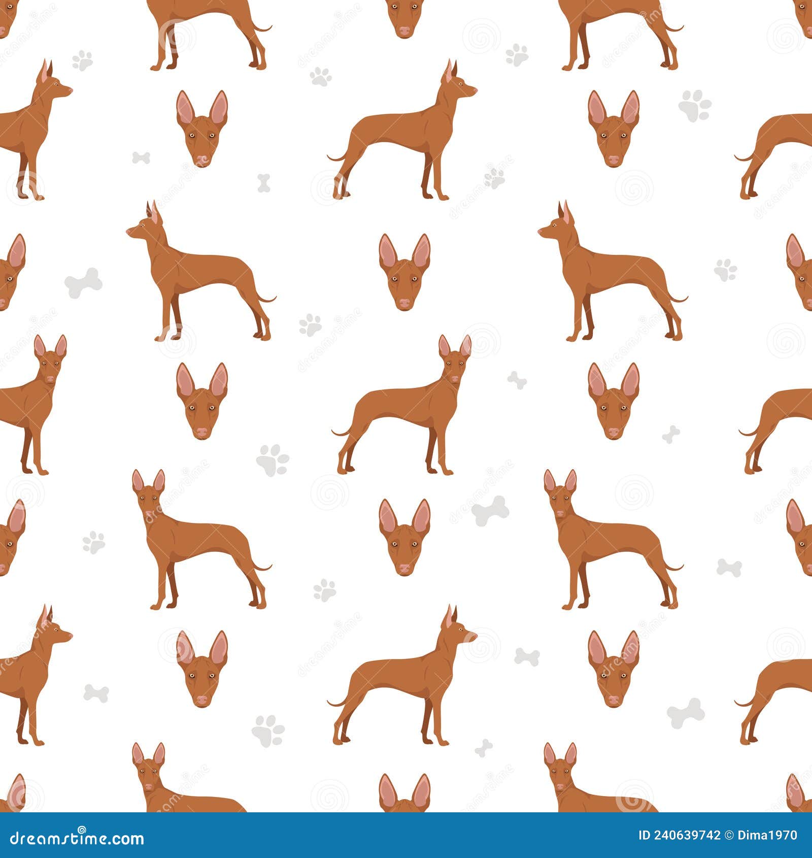 Pharaoh Hound Seamless Pattern. Different Poses, Coat Colors Set Stock ...