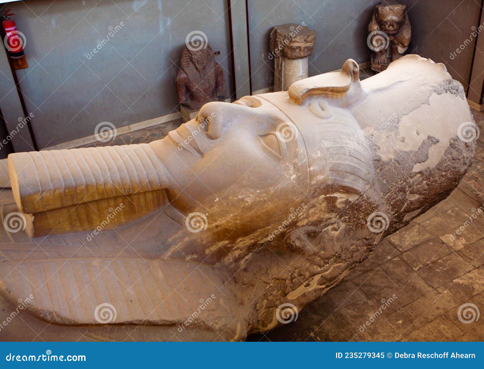 Pharaoh Statue Head in Museum Park Cairo Egypt Editorial Image - Image ...