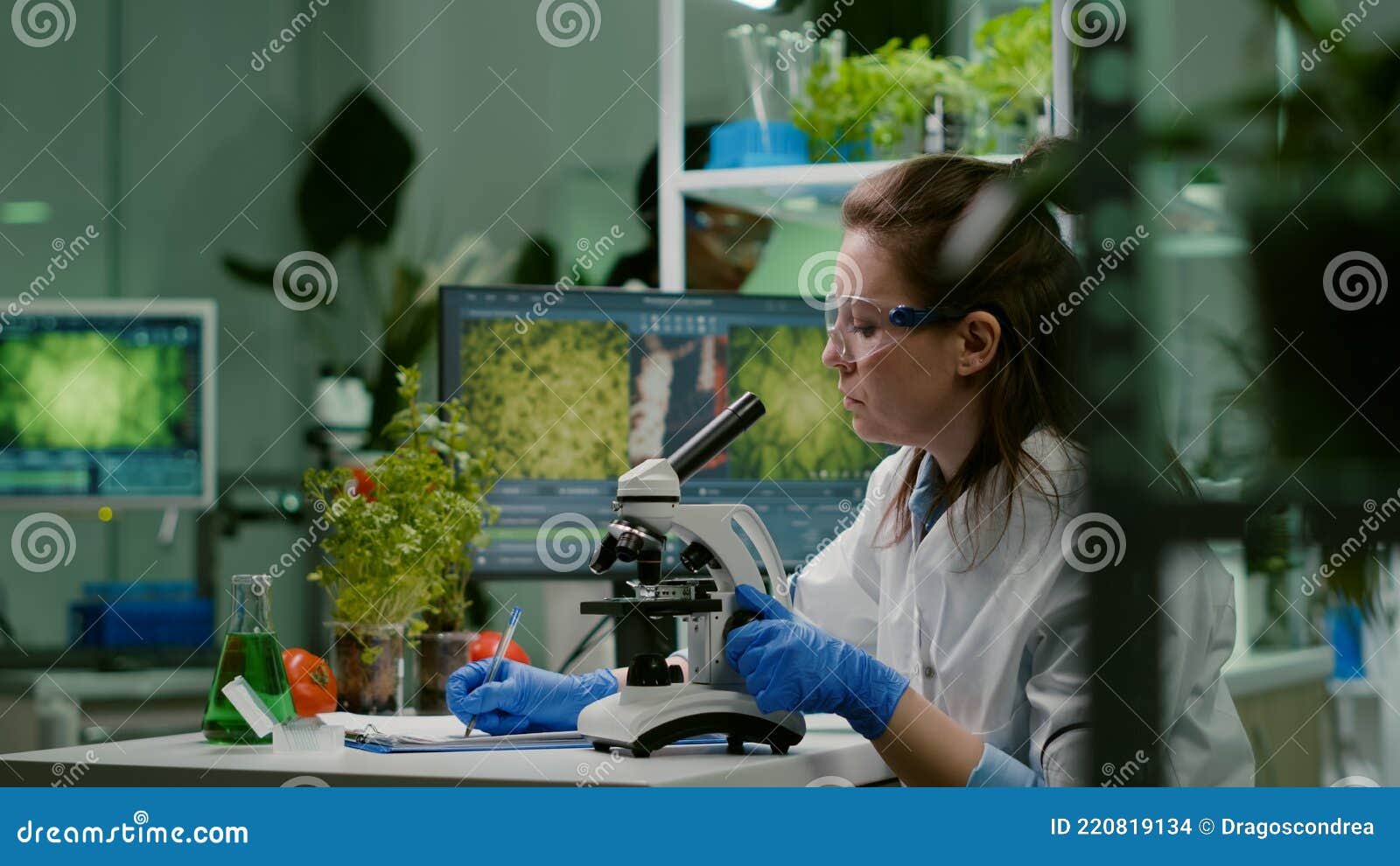 Pharmaceutical Scientist Looking at Green Leaf Sample on Microscope ...