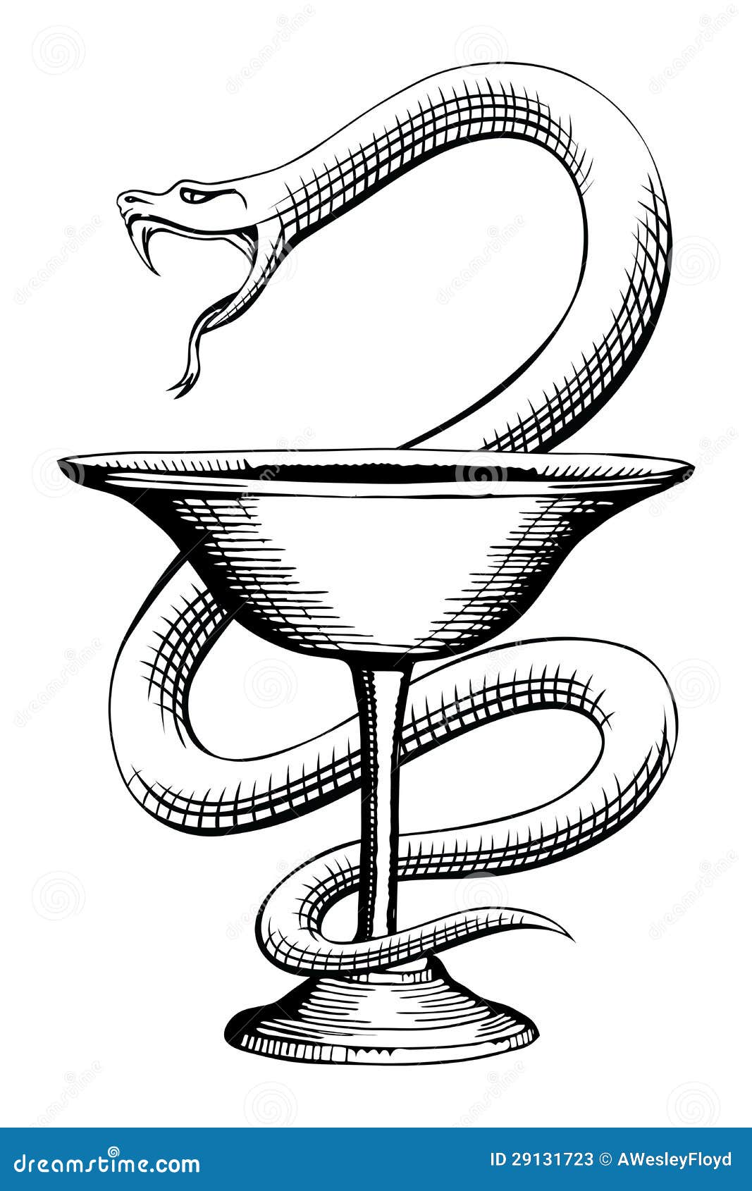 Pharmacy Snake and Cup Medical Symbol Stock Vector - Illustration of ...