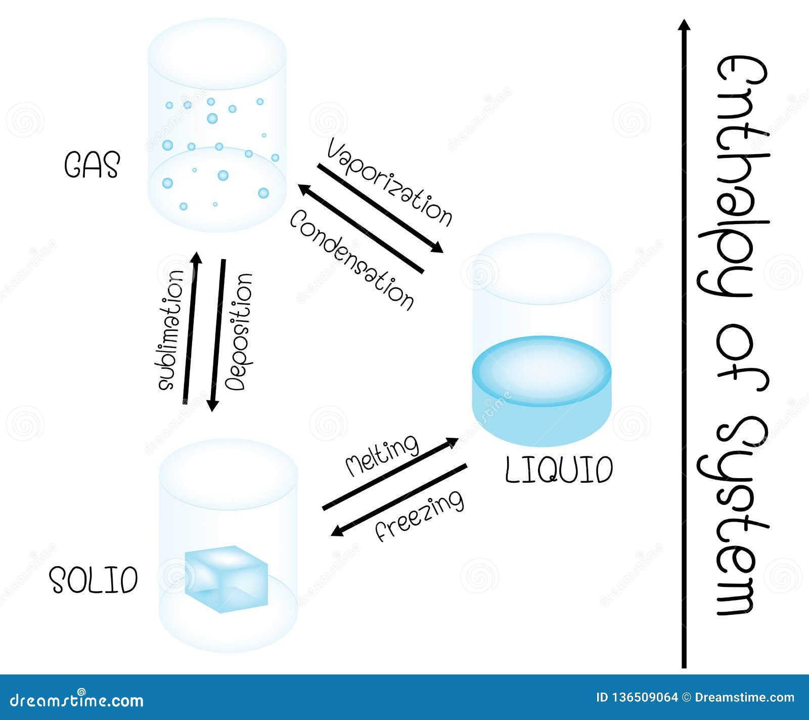 Phase Changes Vector Illustration. Labeled Educational Matter States ...