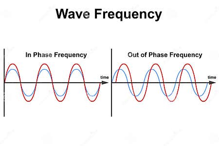 Phase of a Wave Isolated on White Background Stock Illustration ...
