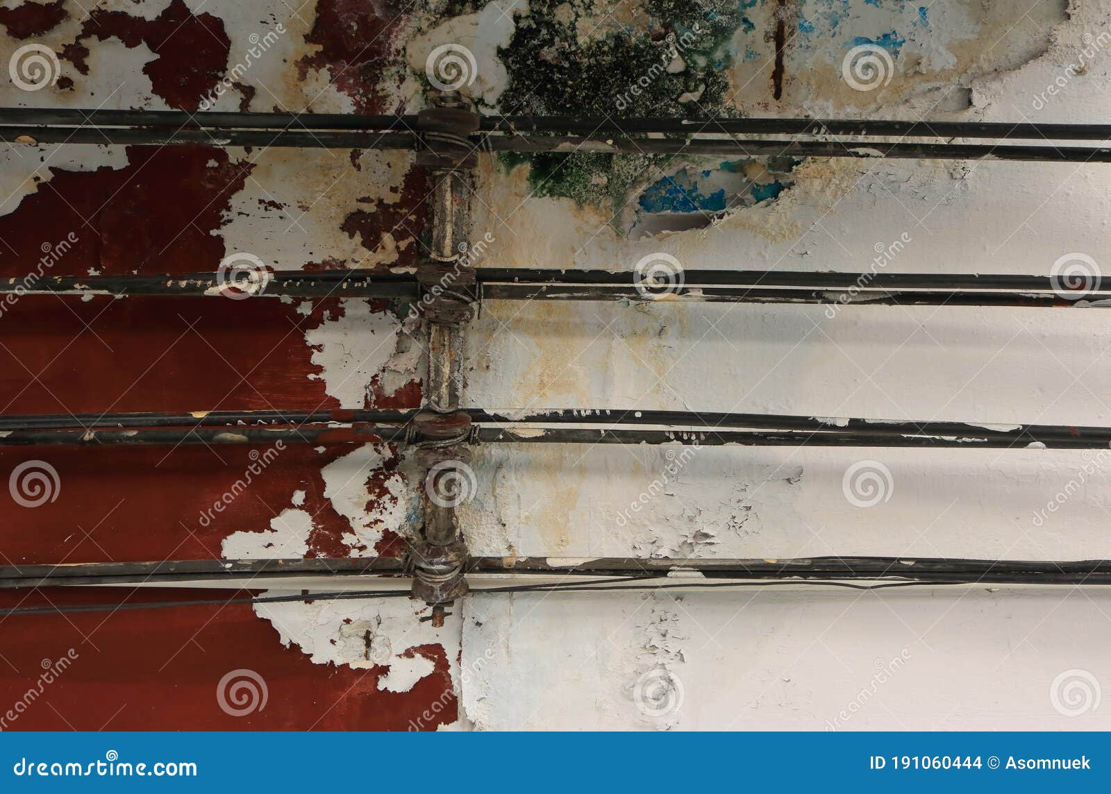 3-phase 4-wire Low Voltage Distribution Lines on Canopy Stock Photo ...