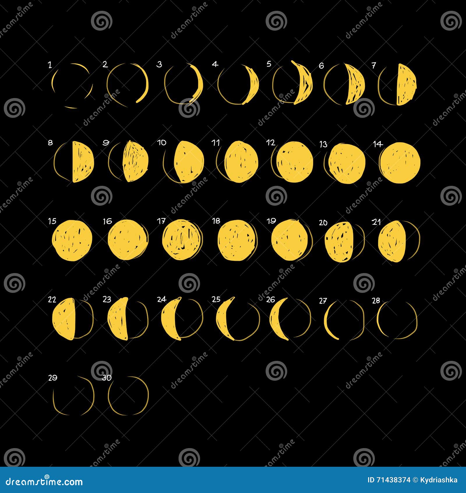Phases of the Moon, Sketch for Your Design Stock Vector - Illustration ...