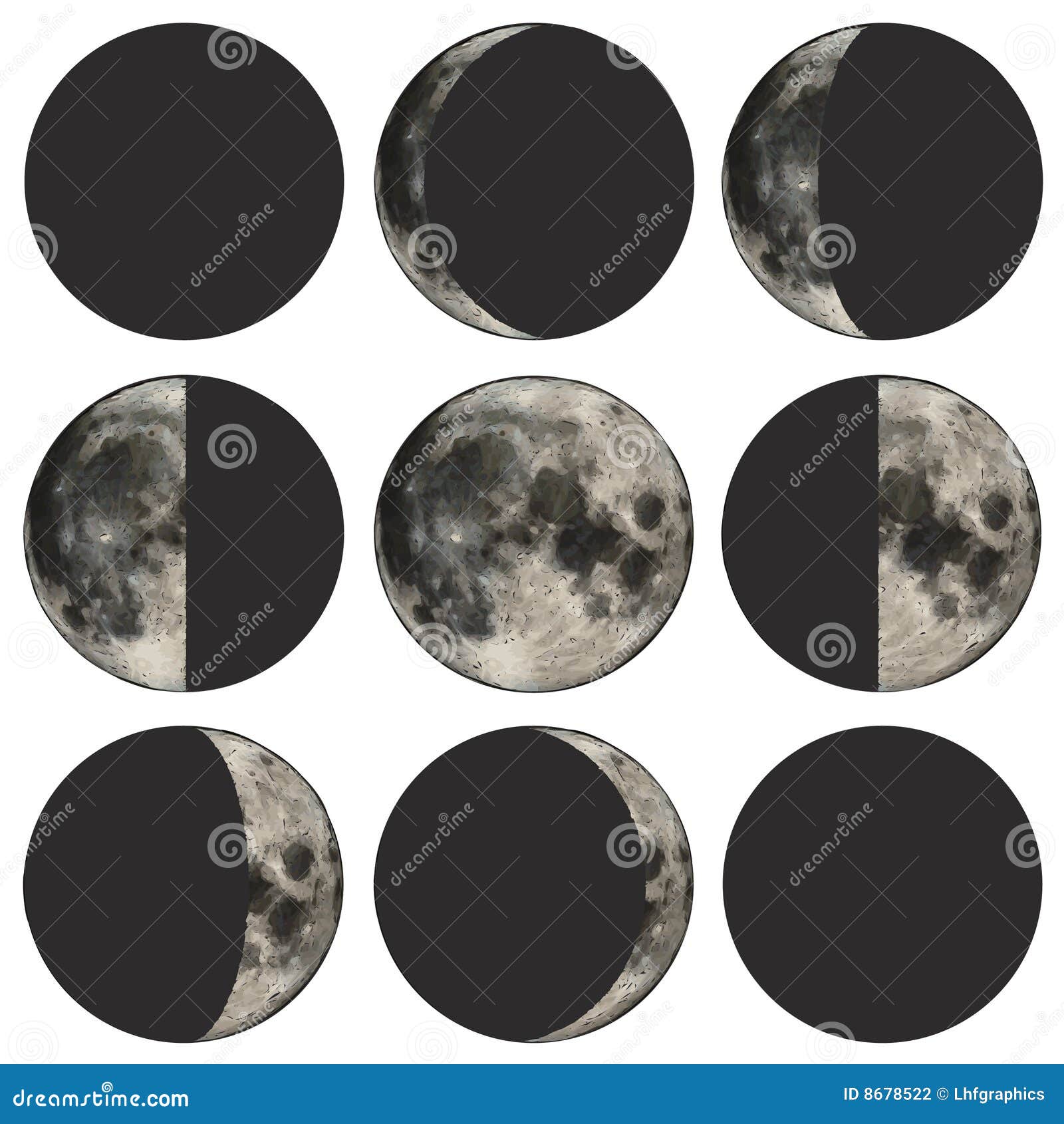 Phases of the Moon Vector Illustration Stock Vector - Illustration of ...