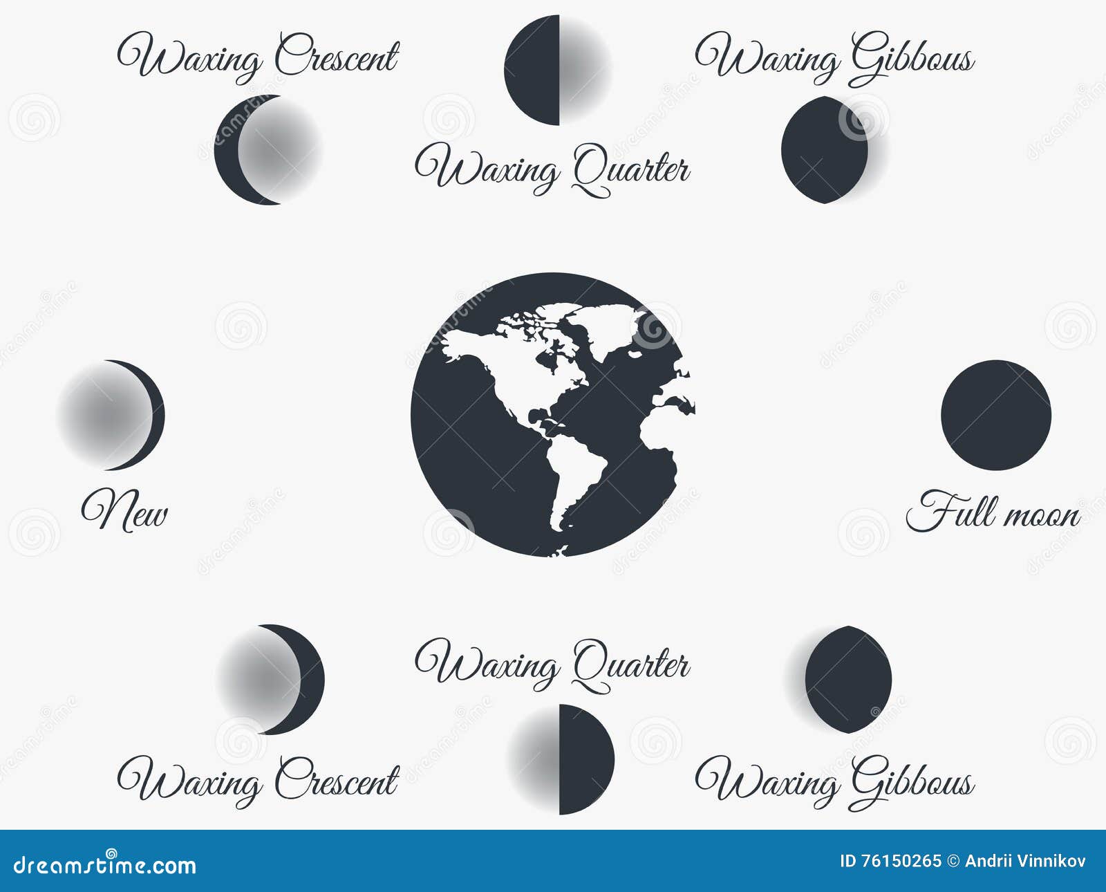 The Phases of the Moon. the Whole Cycle from New Moon To Full. Vector ...