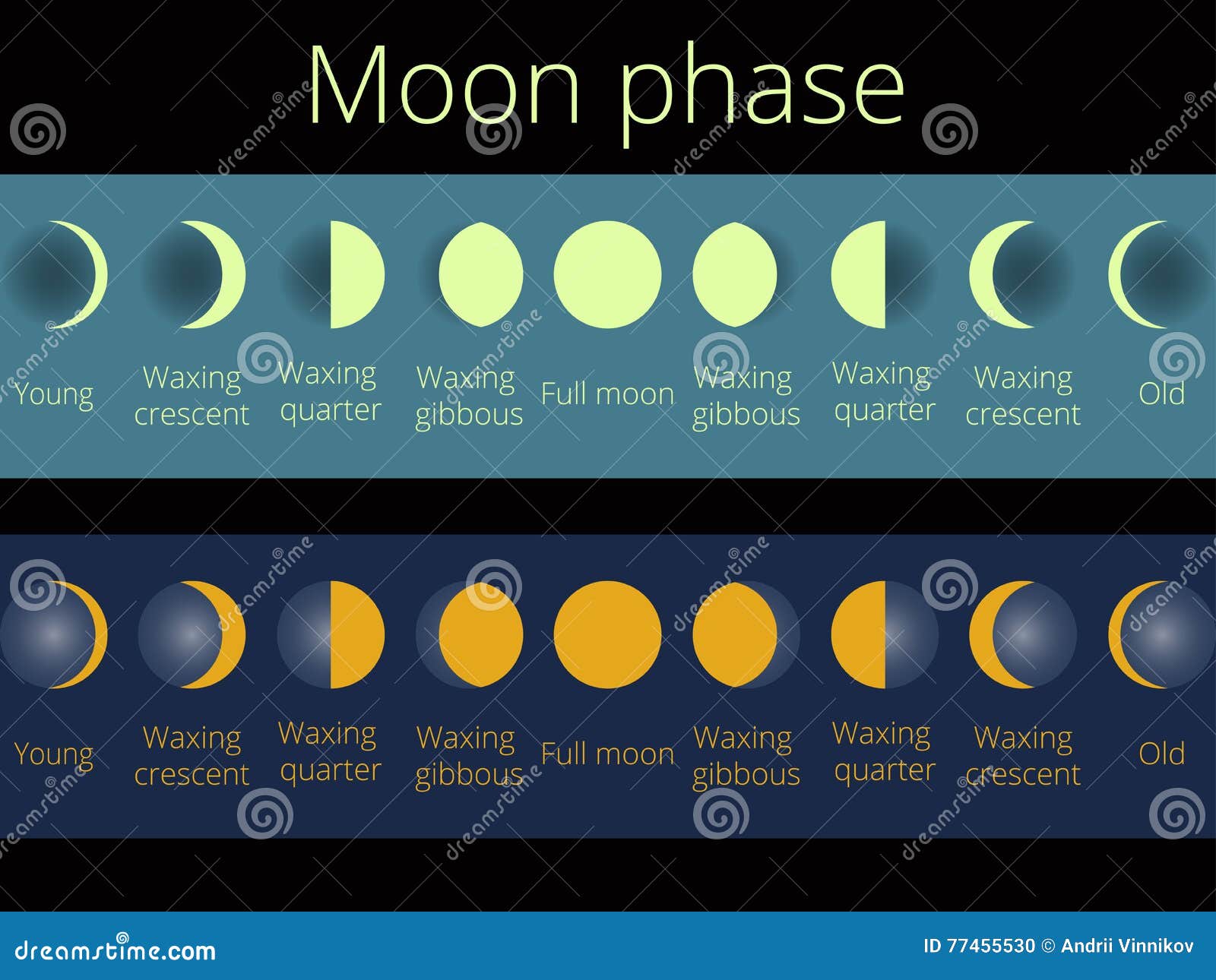 The Phases of the Moon. the Whole Cycle from New Moon To Full Stock ...