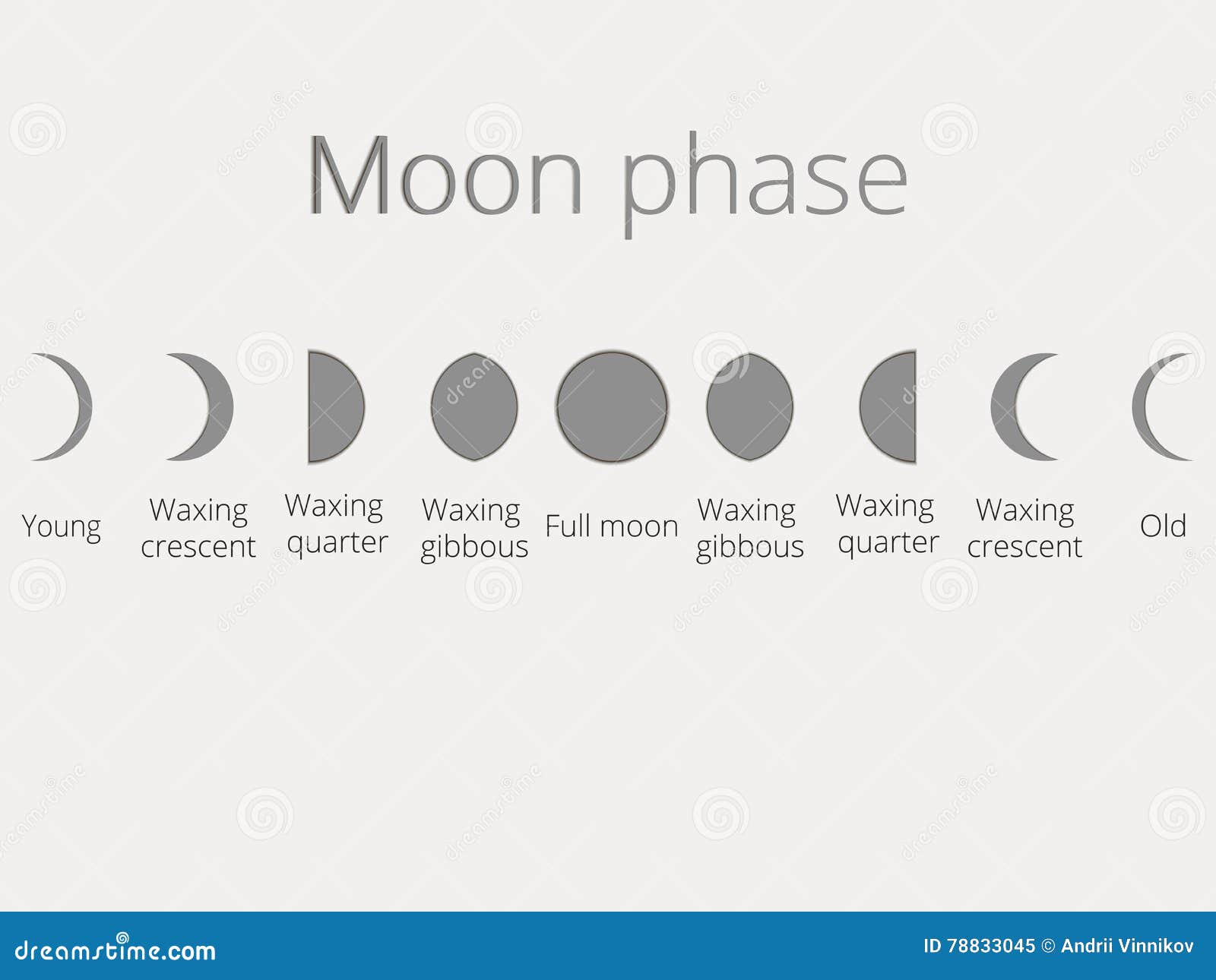 The Phases of the Moon. the Whole Cycle from New Moon To Full Stock ...