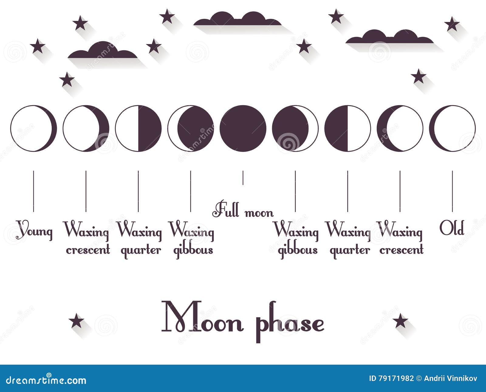 The Phases of the Moon. the Whole Cycle from New Moon To Full Stock ...
