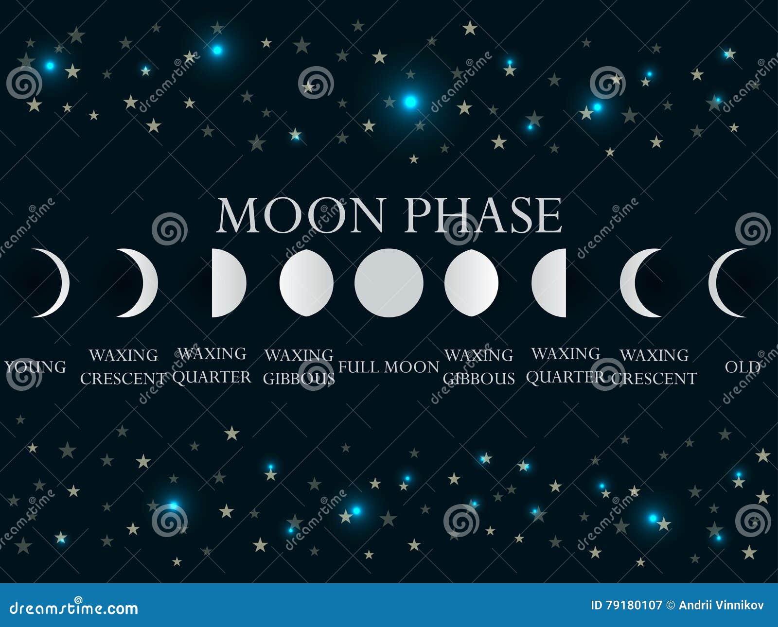 The Phases of the Moon. the Whole Cycle from New Moon To Full Stock ...