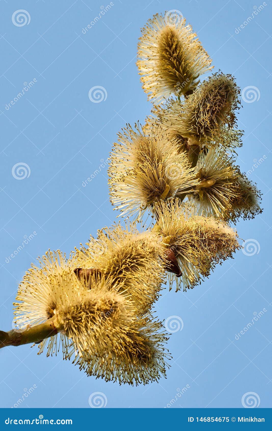 Phases of Moscow spring stock image. Image of view, spring - 146854675