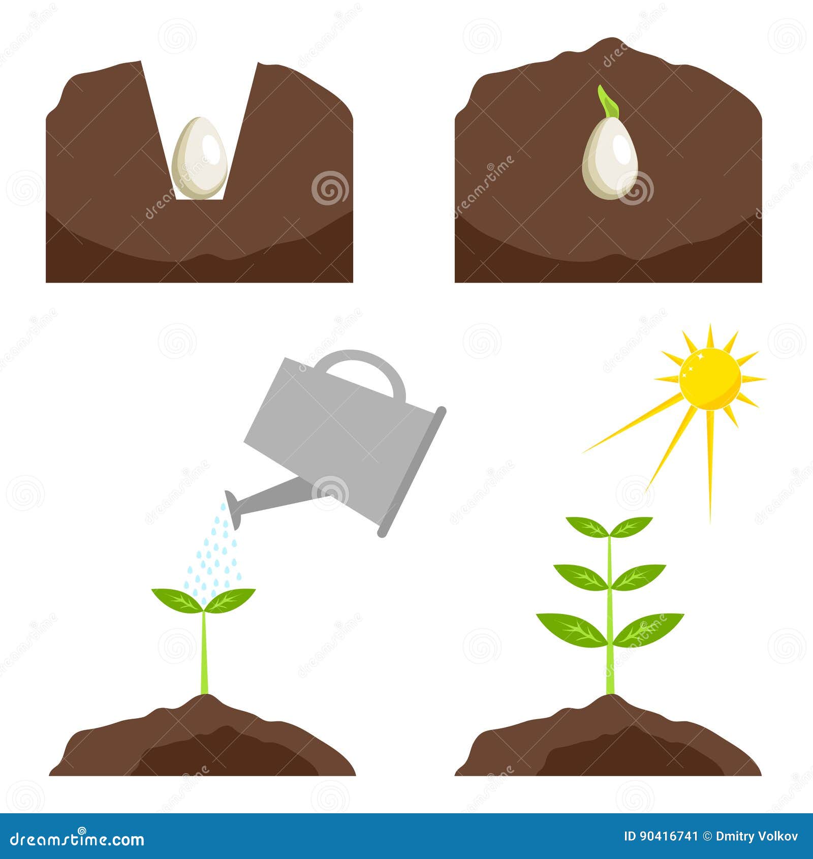 Phases Of Plant Growing. Evolution From Seed To Big Bush. Green Sprout ...