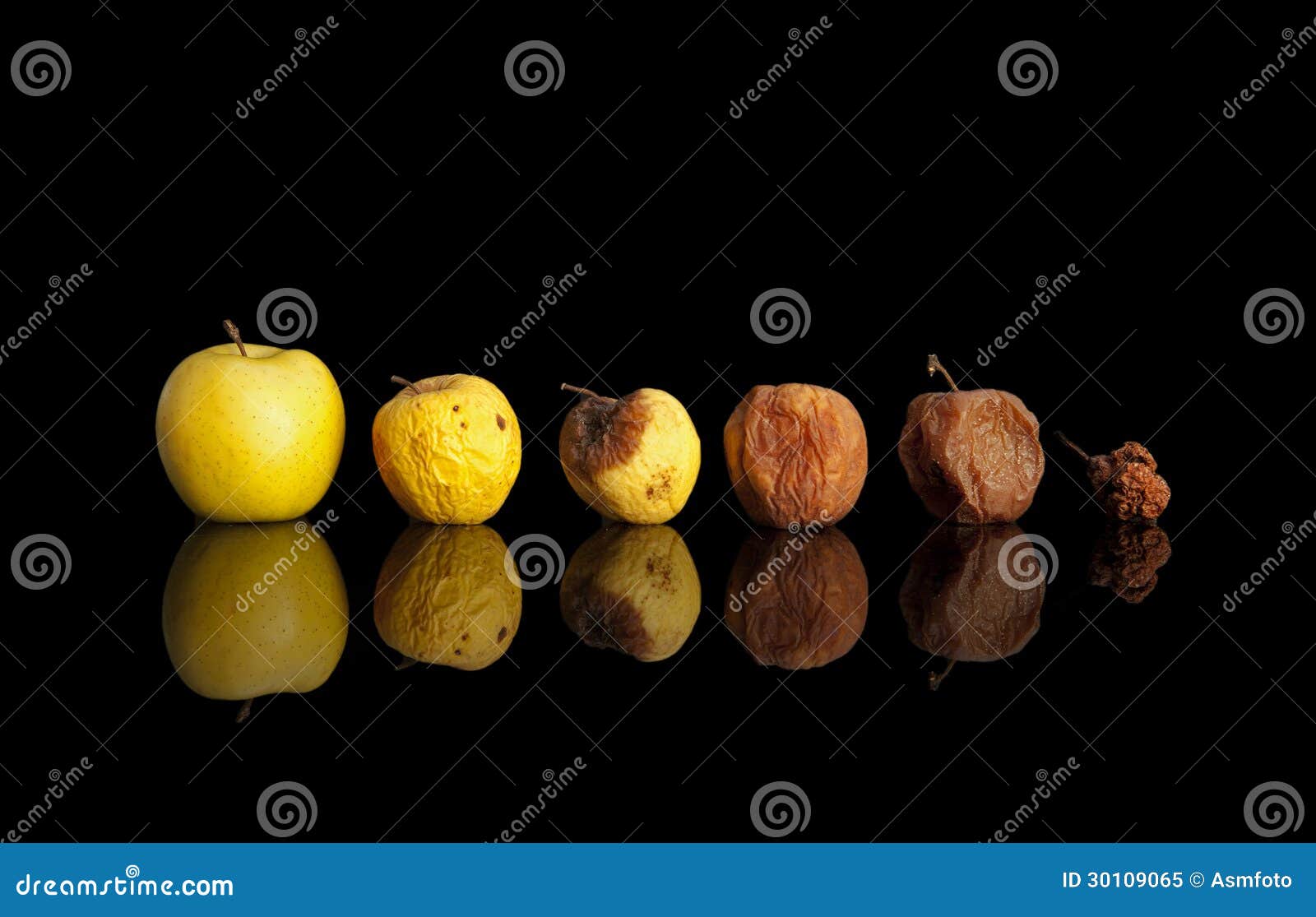 Phases of the Rotting Yellow Apple. Stock Image - Image of contrast ...