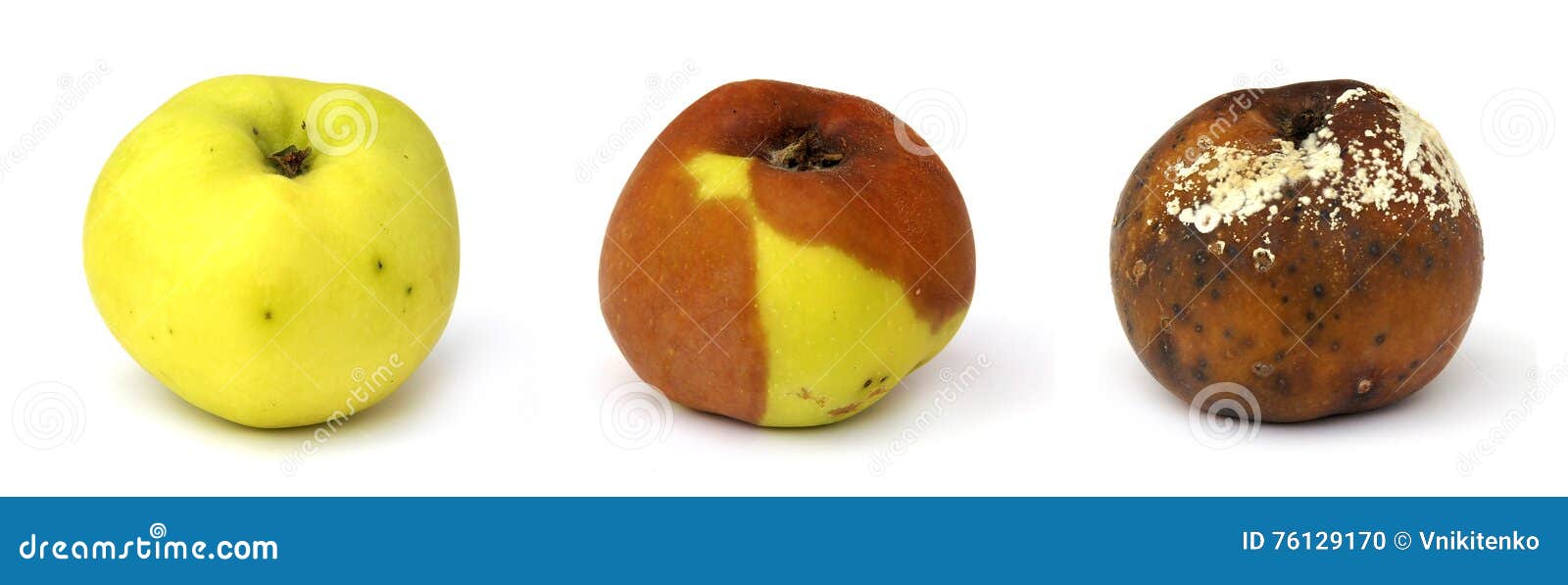 Phases Of The Rotting Stock Photo | CartoonDealer.com #76129170