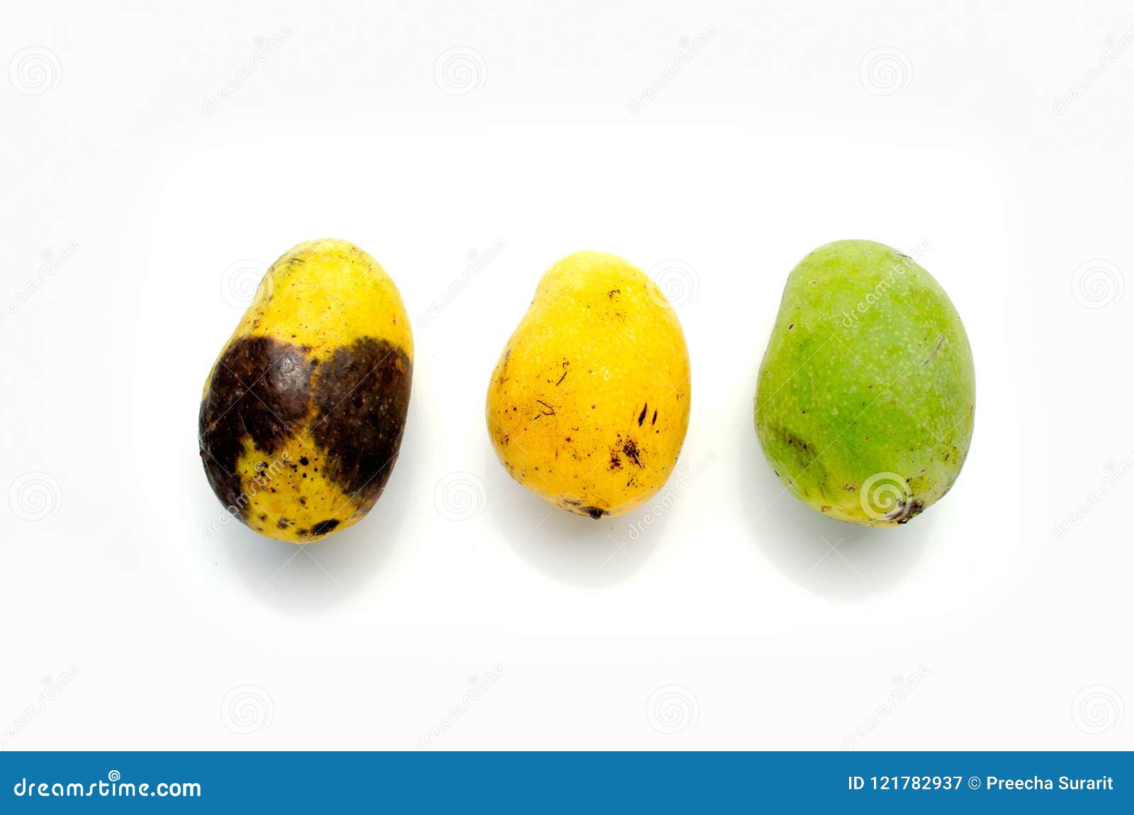 Phases Of The Rotting Yellow Apple. Royalty-Free Stock Photo ...