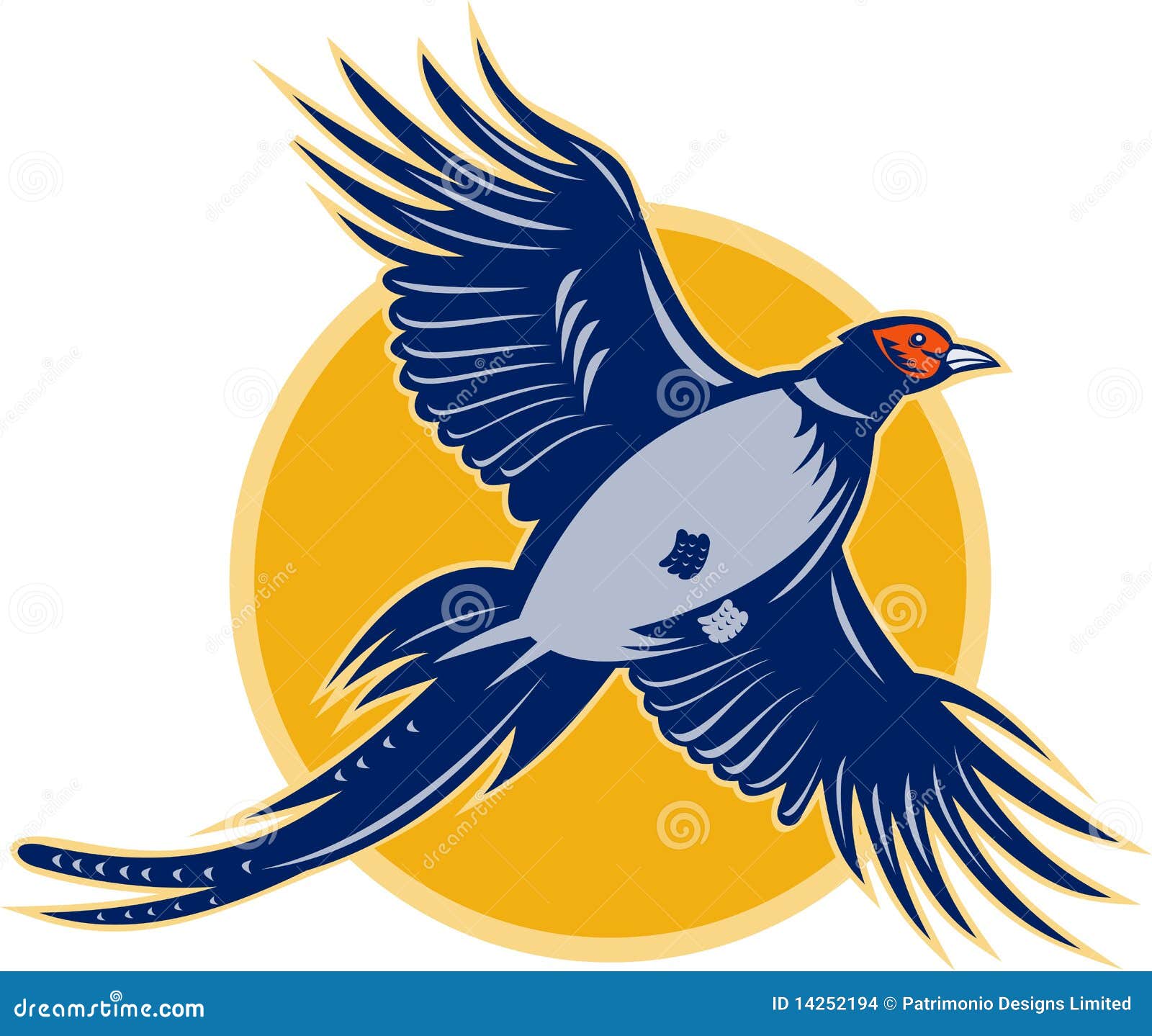 Pheasant bird flying stock illustration. Illustration of bird - 14252194