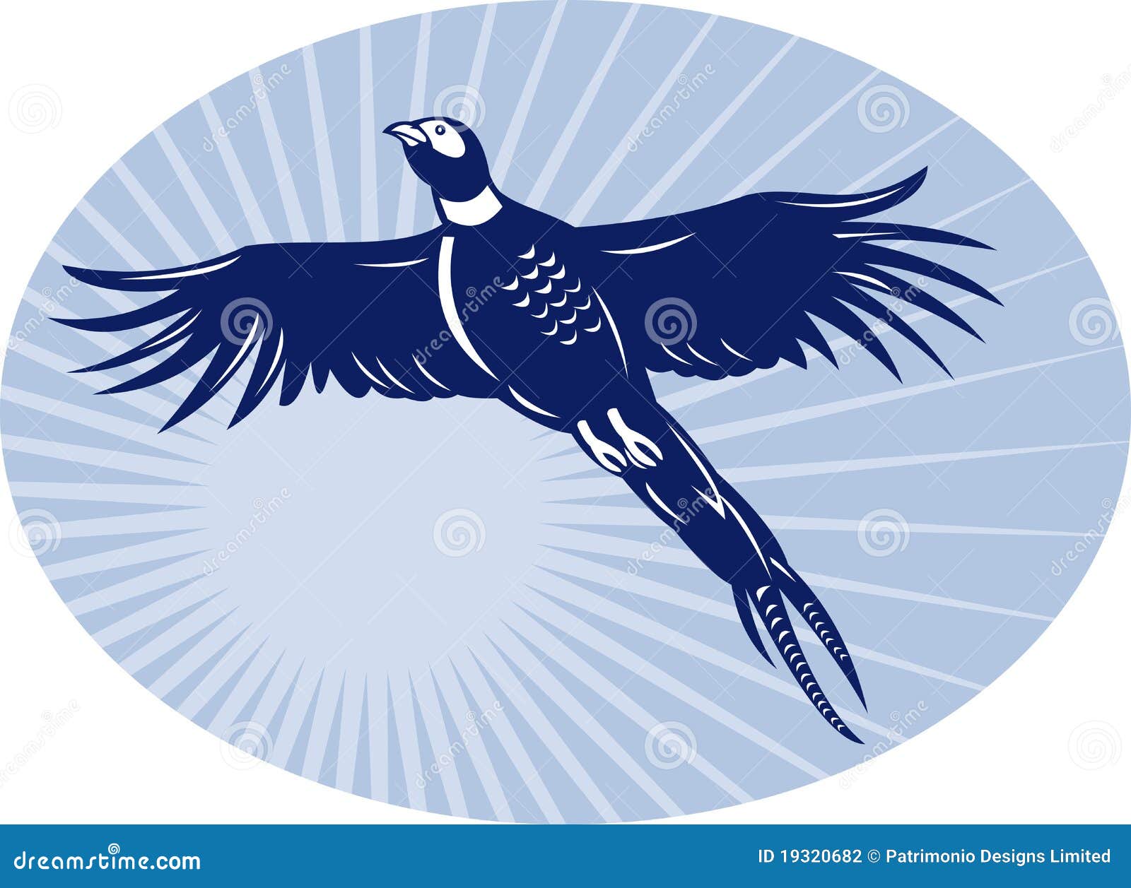 Pheasant Bird Fowl Flying Woodcut Circle Cartoon Vector | CartoonDealer ...