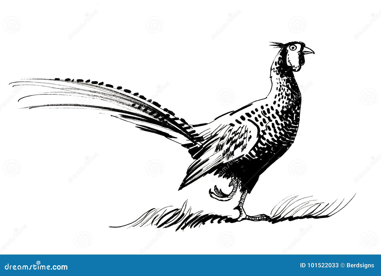 Pheasant Bird Fowl Flying Woodcut Circle Cartoon Vector | CartoonDealer ...