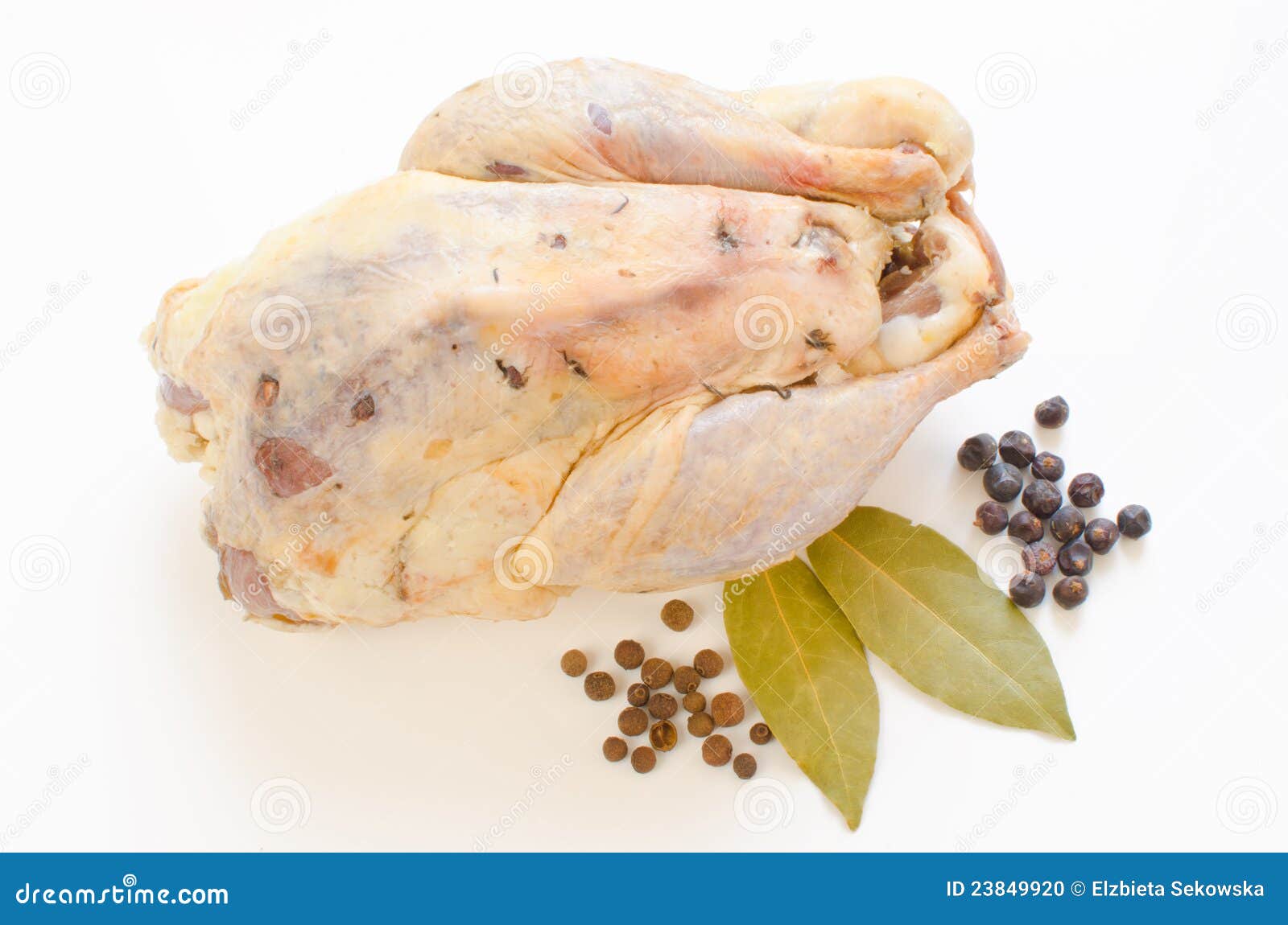 Pheasant meat stock photo. Image of bird, organic, venison - 23849920