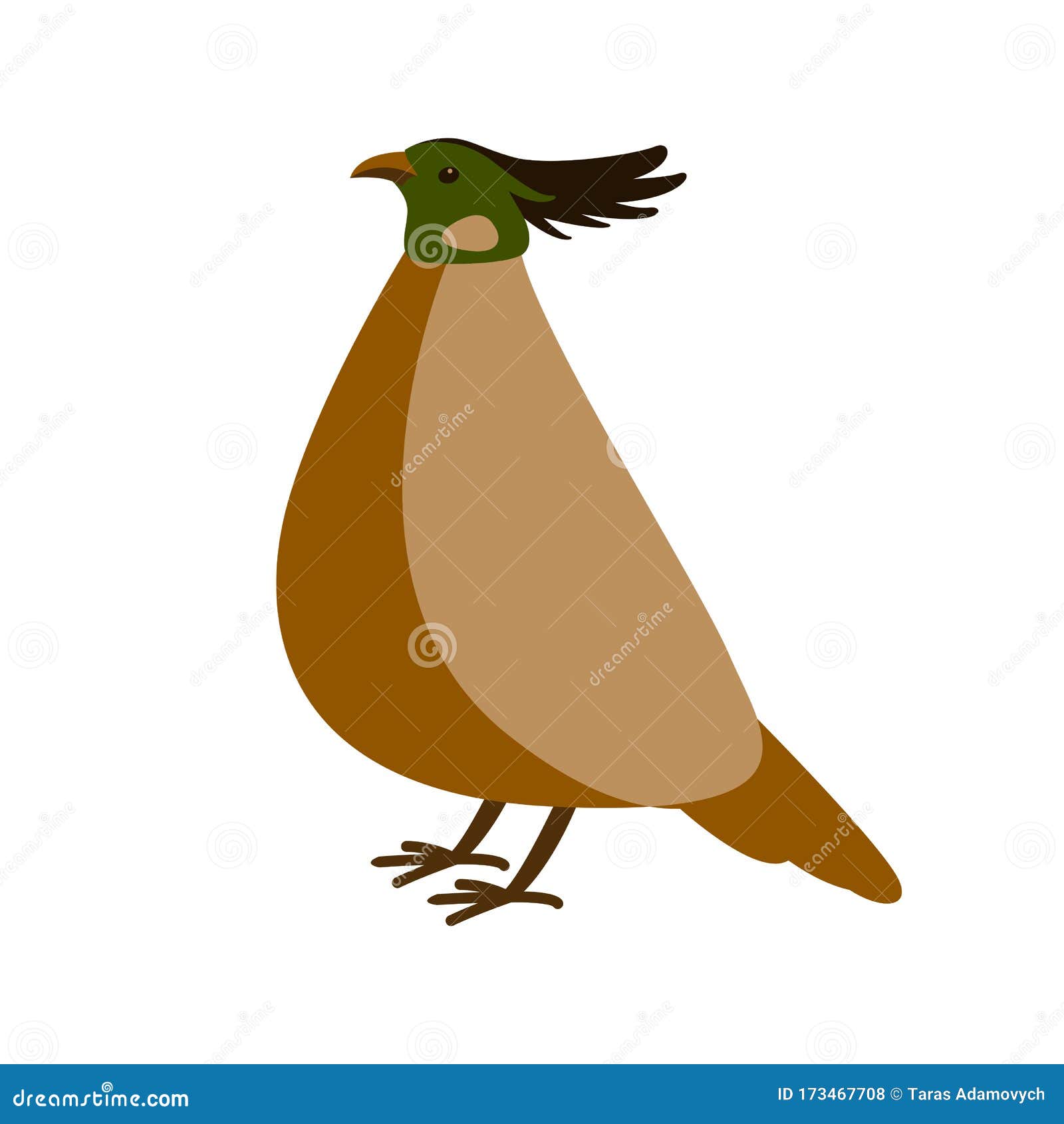 Pheasant. Vector Drawing | CartoonDealer.com #89367827
