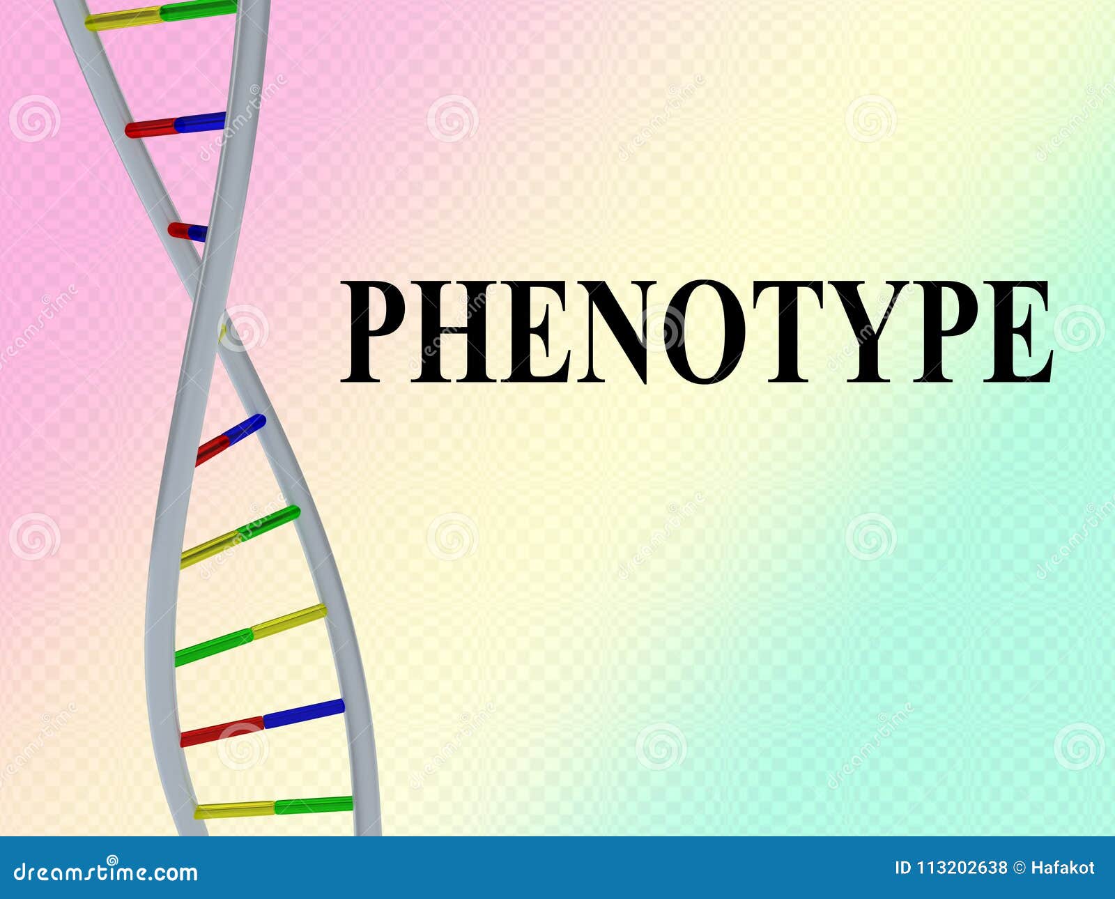 Phenotype Script Stock Illustrations – 4 Phenotype Script Stock ...