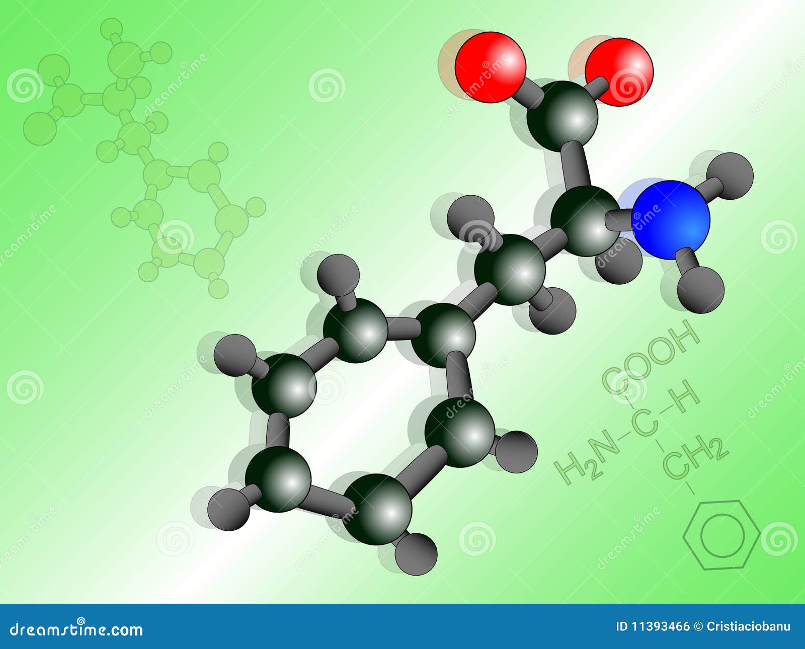 Phenylalanine Pathway