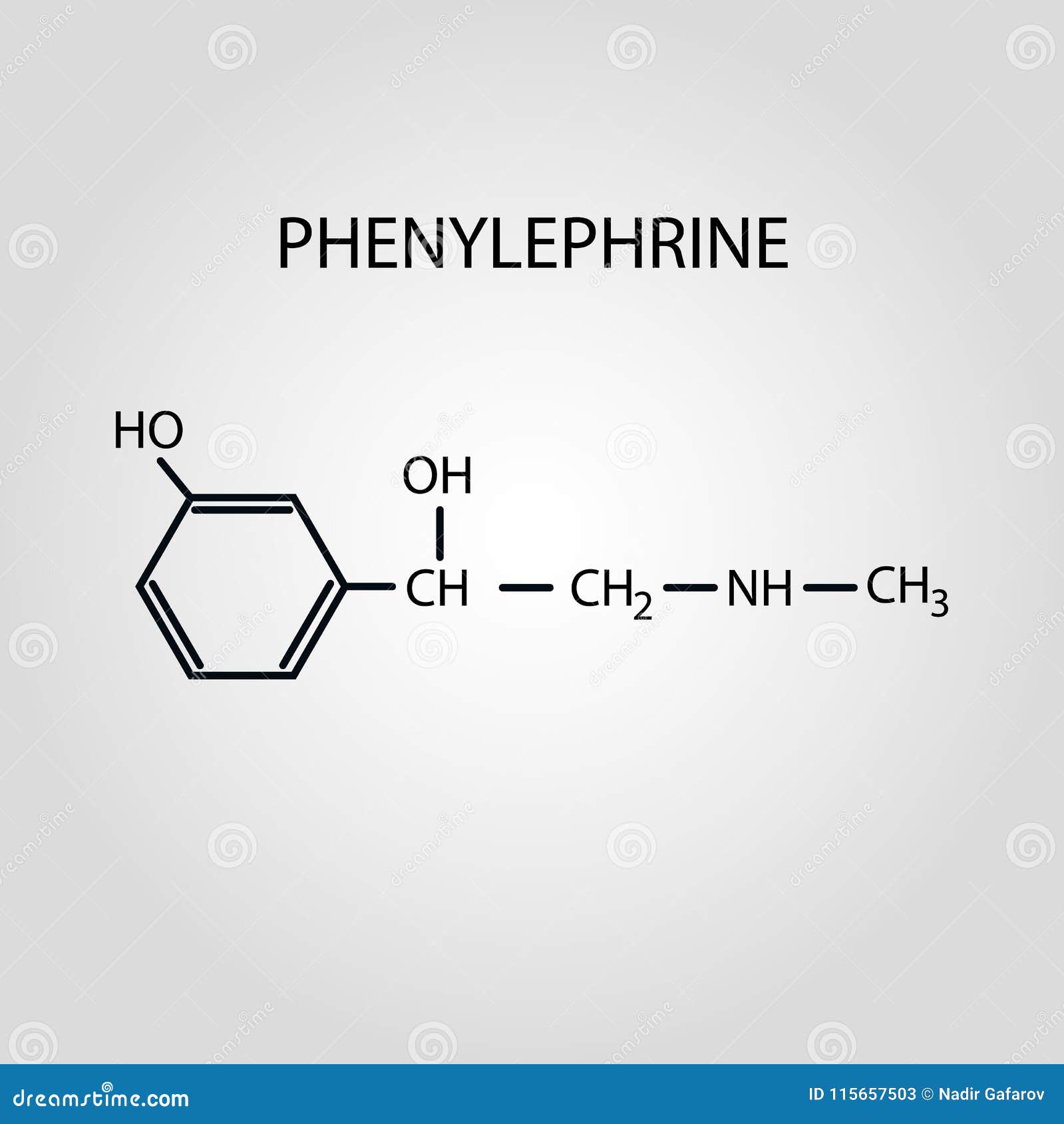 Phenylephrine Atomic Stucture Stock Vector - Illustration of dinner ...