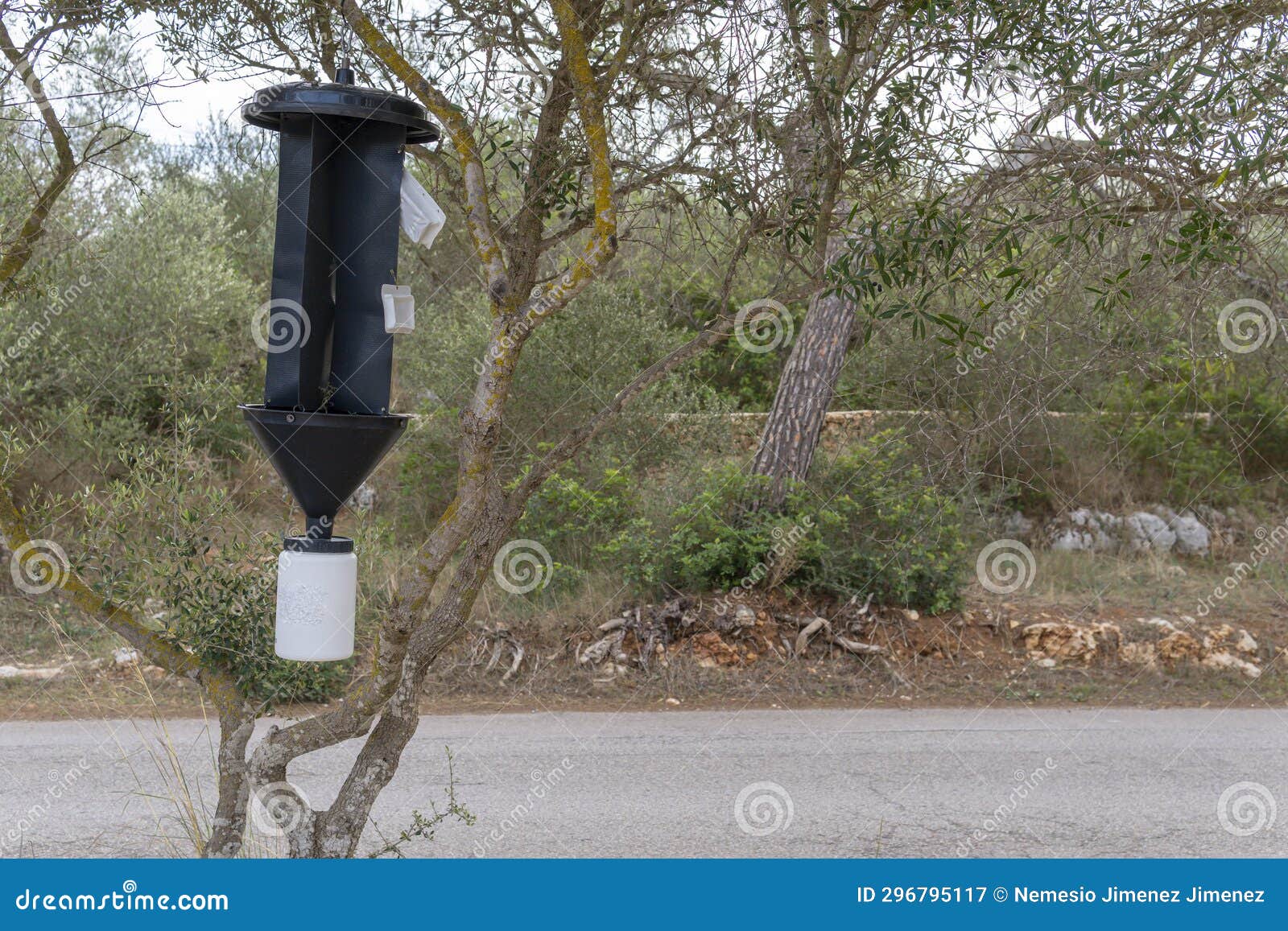 Pheromone-based Tree Pest Control System Stock Image - Image of ... Pheromone-based Tree Pest Control System Stock Image - Image of ...