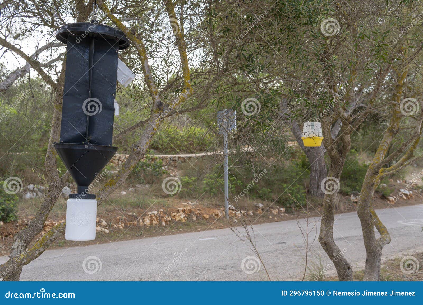 Pheromone-based Tree Pest Control System Stock Photo - Image of tree ... Pheromone-based Tree Pest Control System Stock Photo - Image of tree ...
