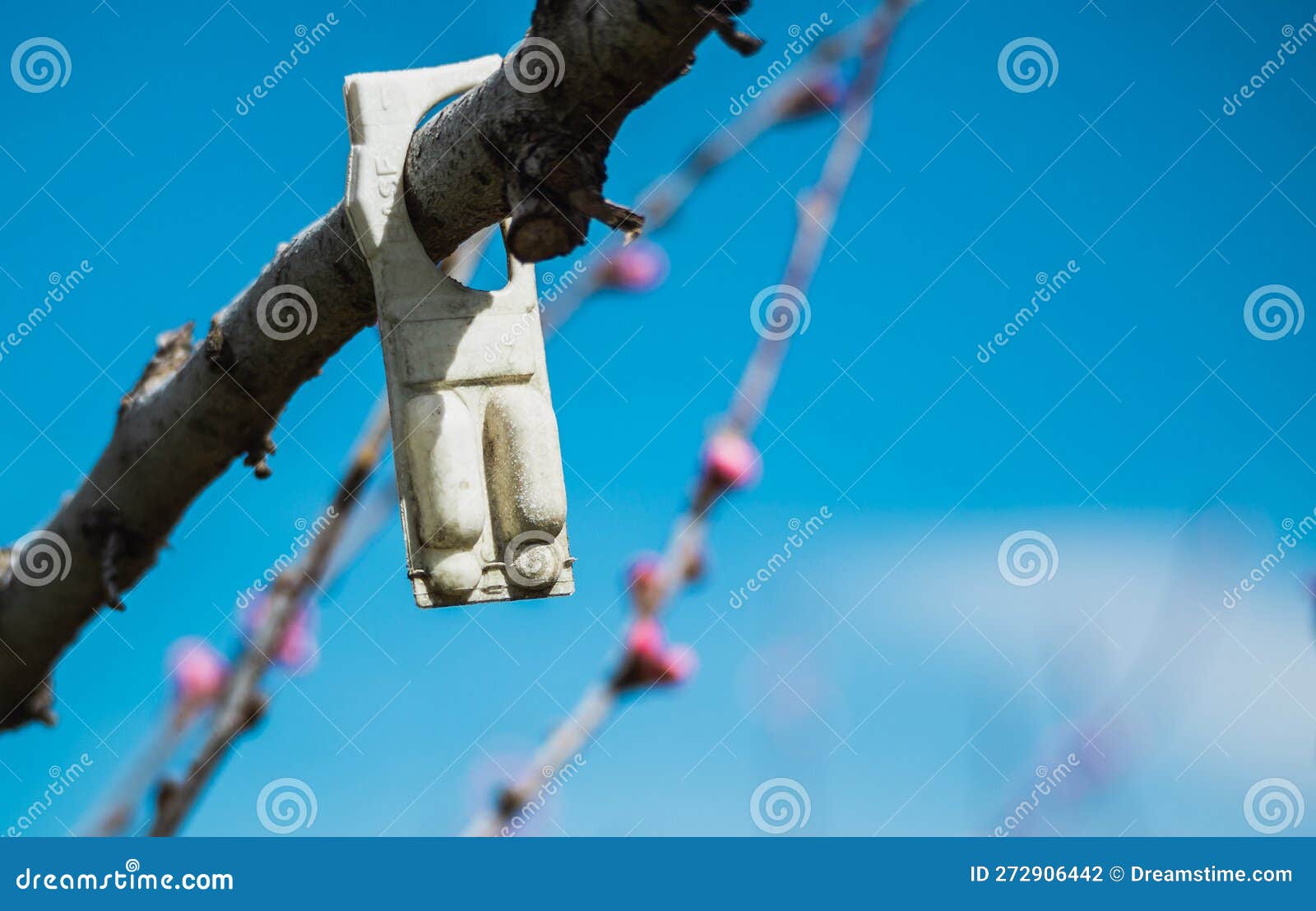 Pheromone Diffusing - Insecticidal Control by Mating Disruption ...