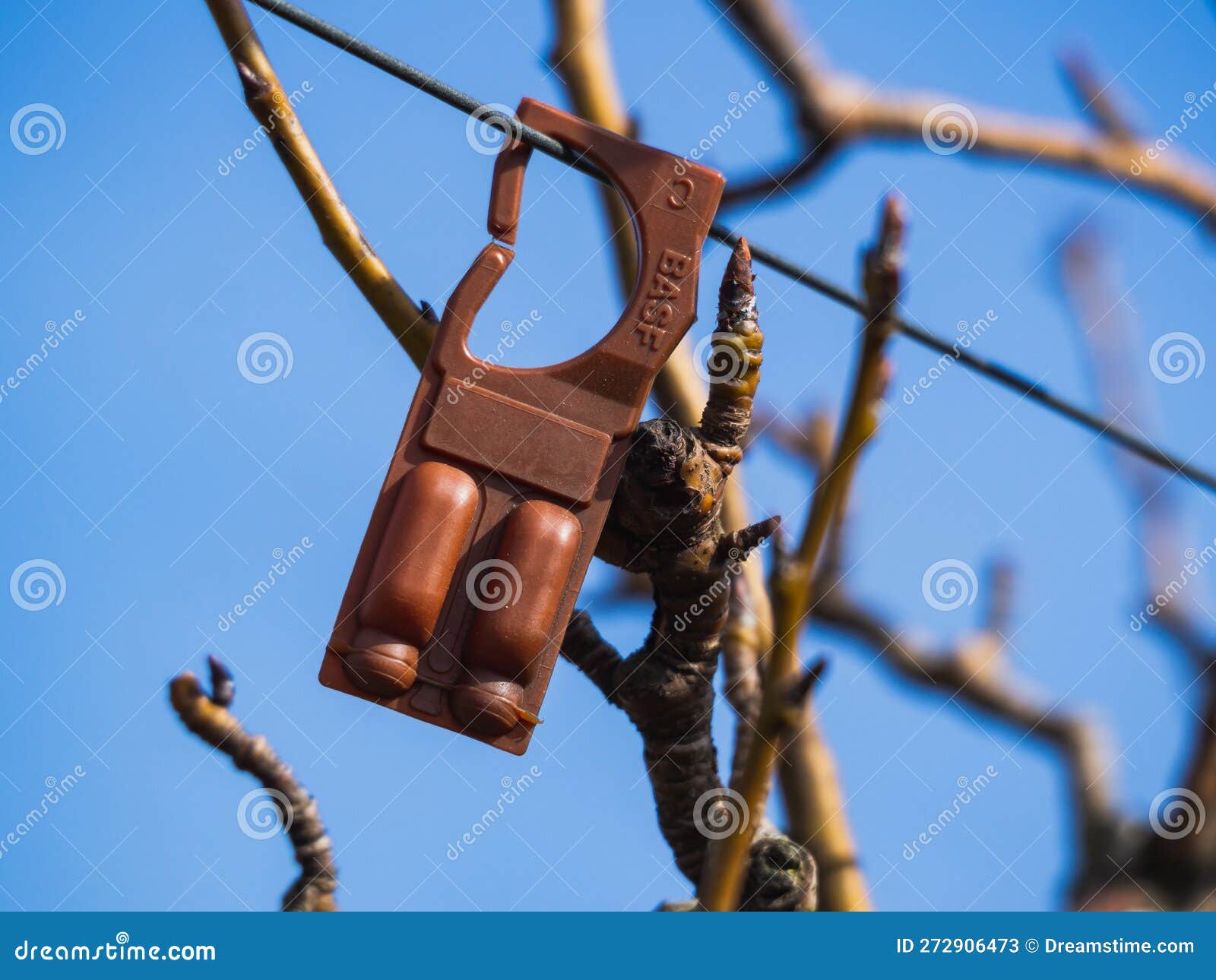 Pheromone Diffusing - Insecticidal Control by Mating Disruption ...