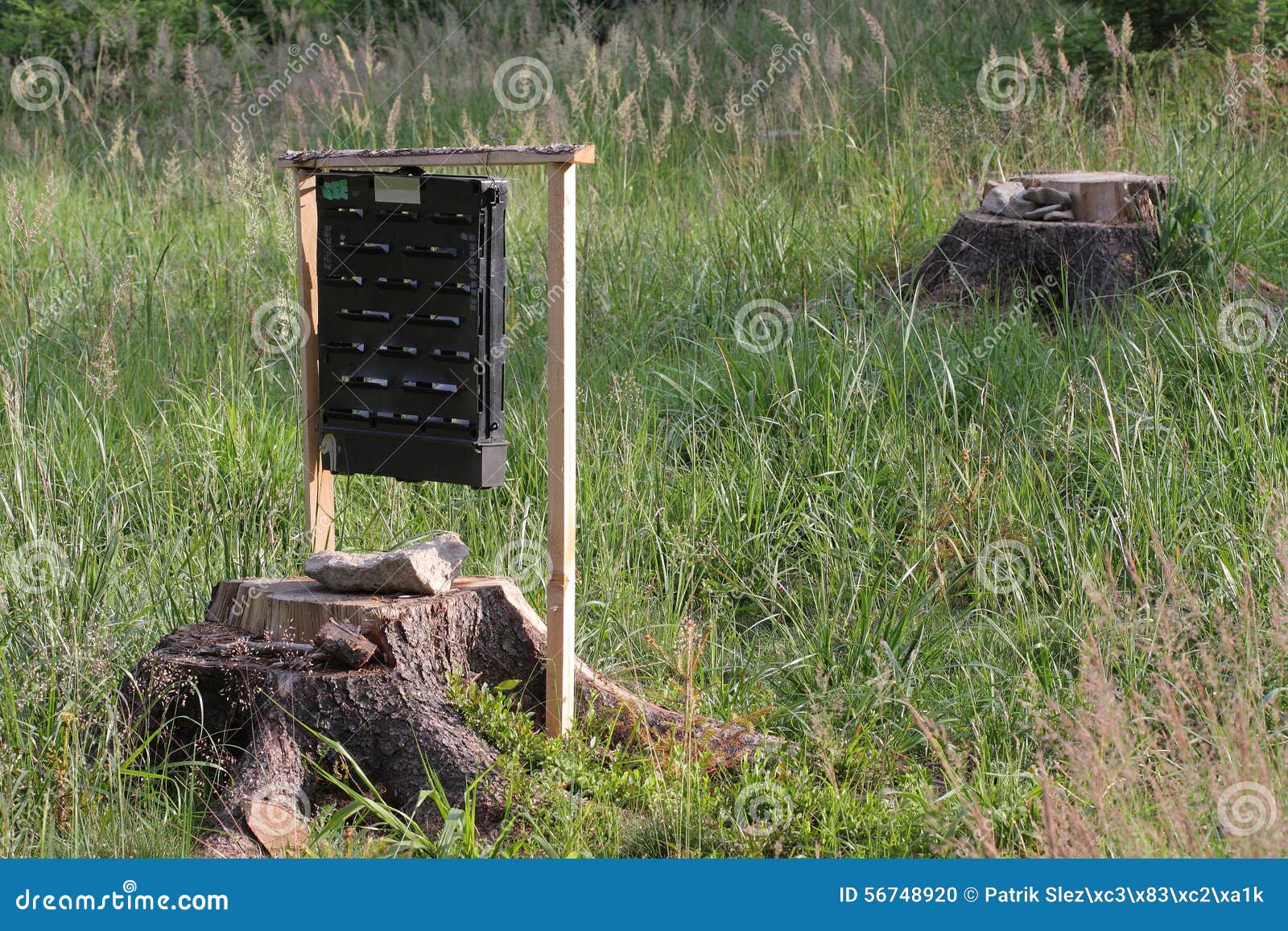 Pheromone Trap For Invasive Insects In A Mediterranean Coniferous ...