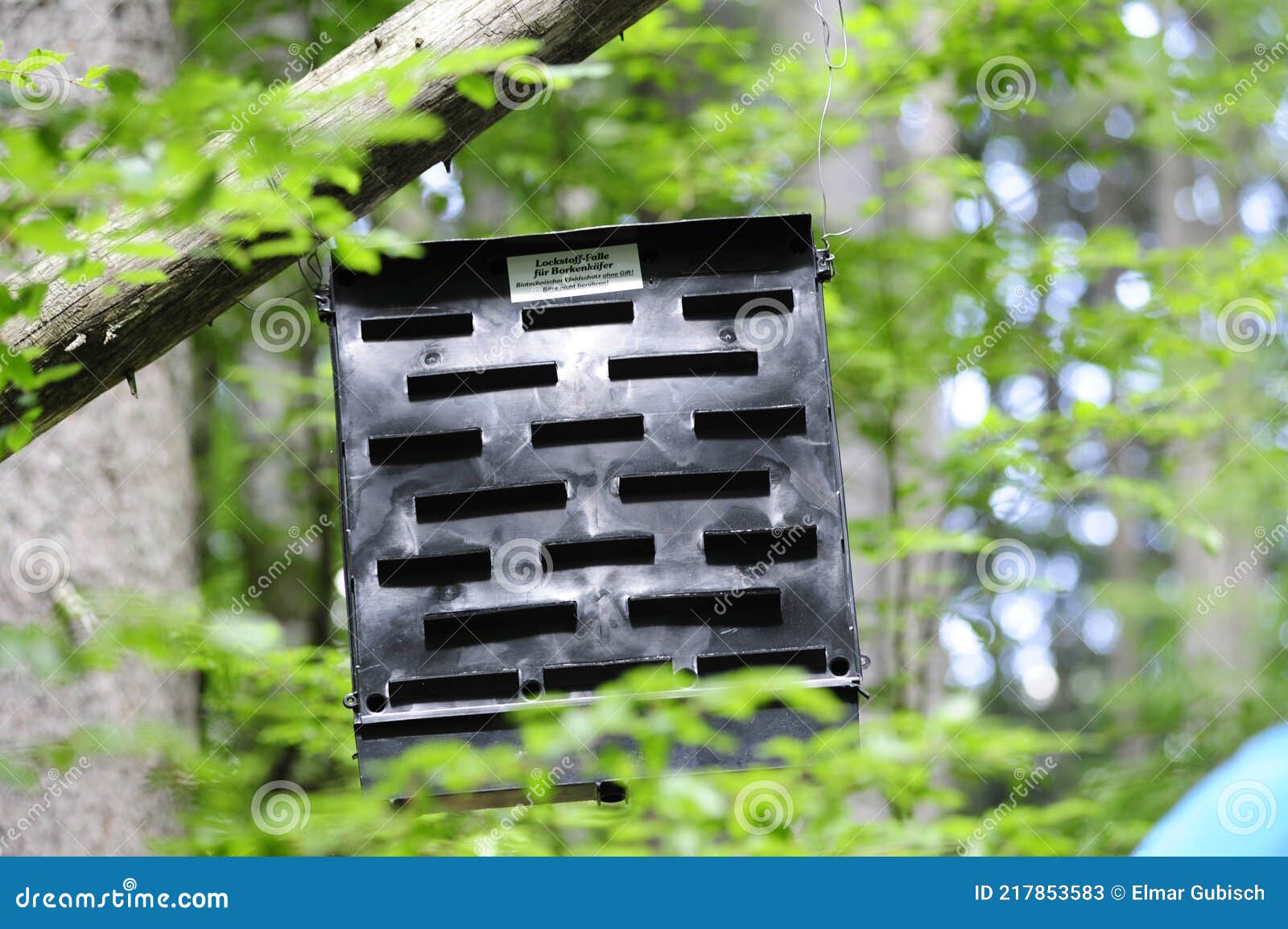 Pheromone Trap For Trees Affected By Pest Infestation Royalty-Free ...