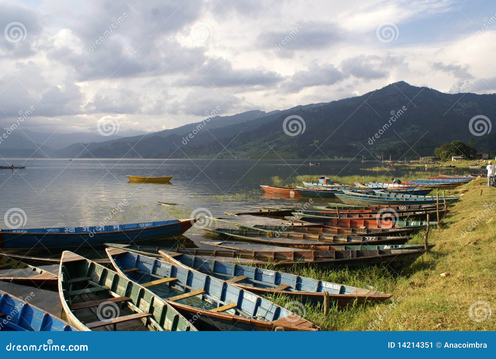 Phewa Lake, Pokhara, Nepal stock image. Image of trip - 14214351