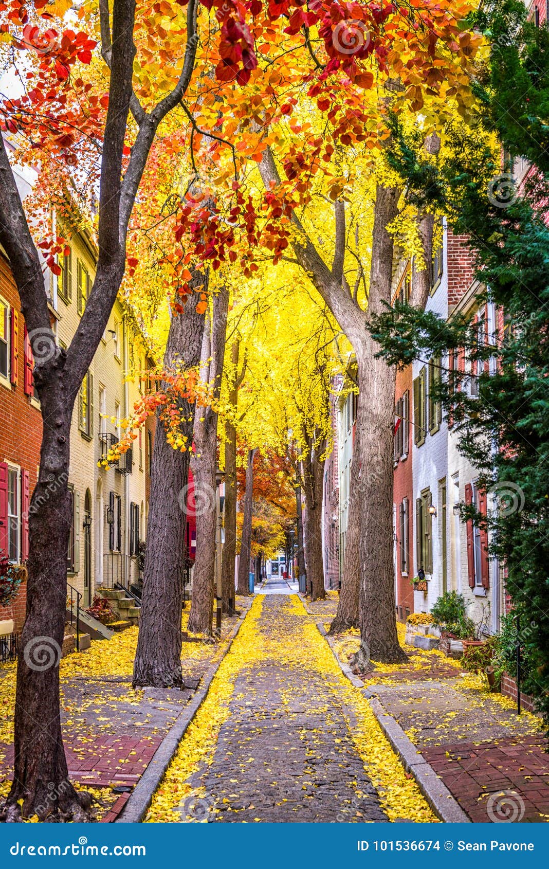 Philadelphia Autumn Streets Arkivfoto - Bild av grannskap, pennsylvania ...