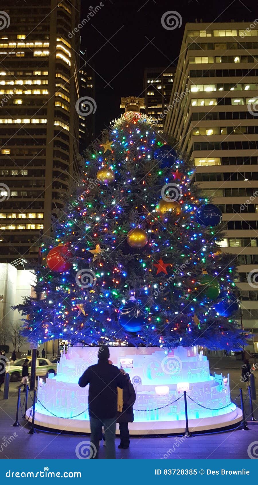 131,679 Market Tree Stock Photos - Free & Royalty-Free Stock Photos ...